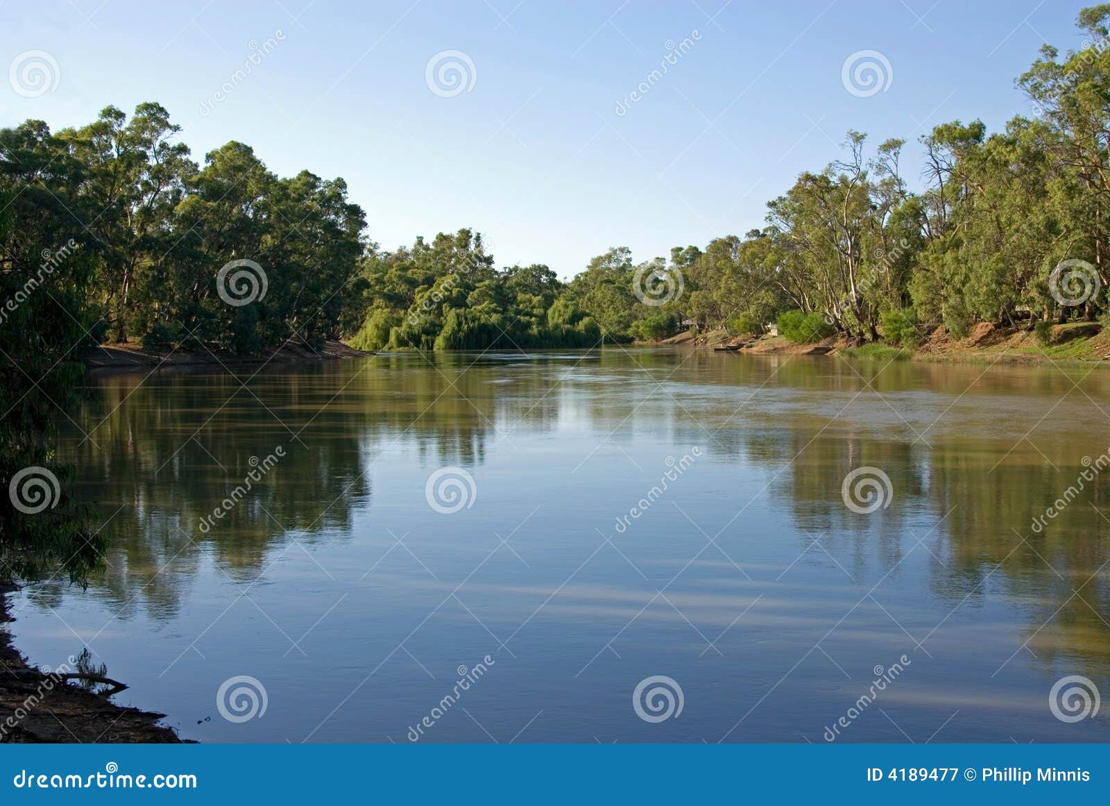 The Murray River stock image. Image of australia, line - 4189477