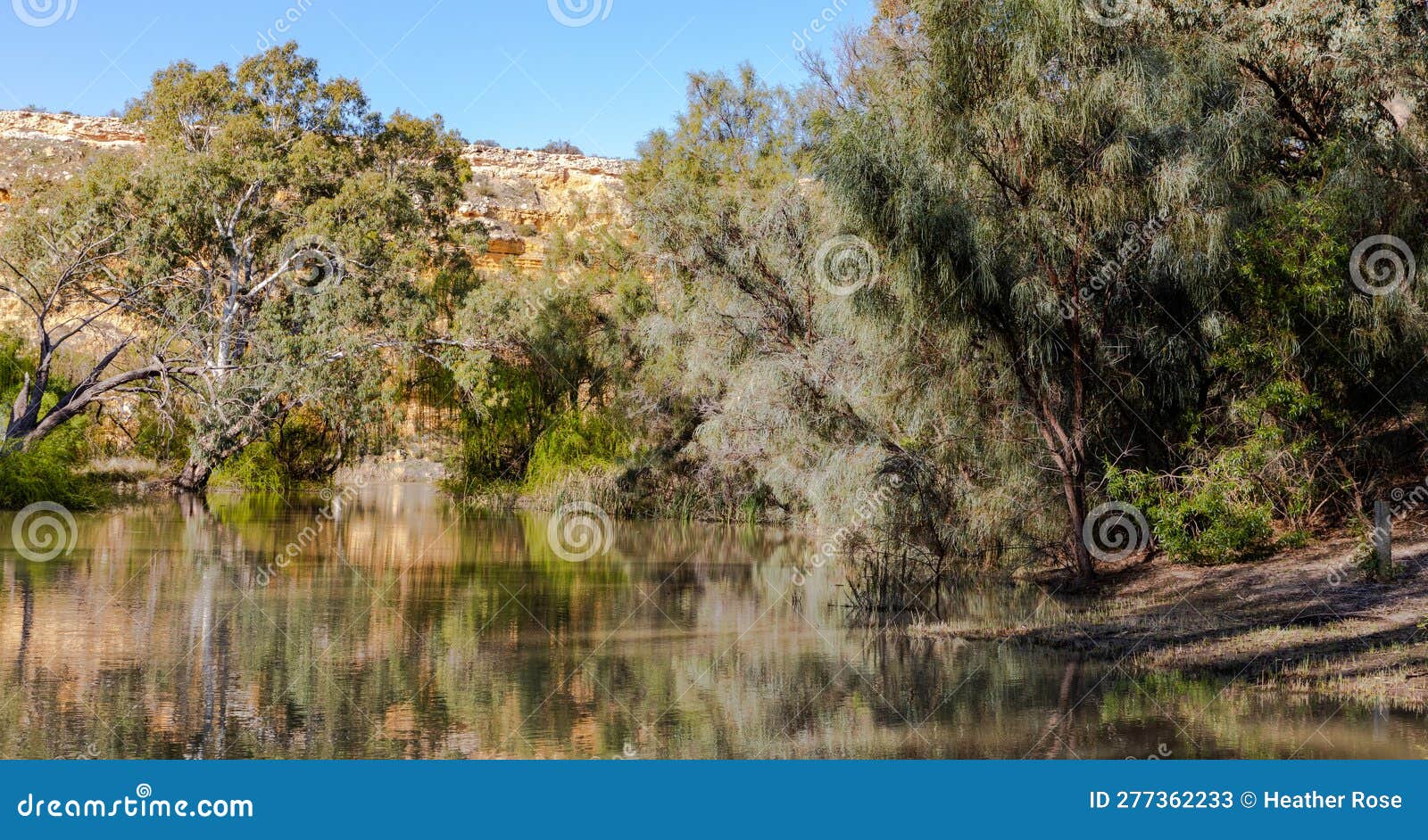 The Murray River, a Famous River System in Australia Stock Image ...