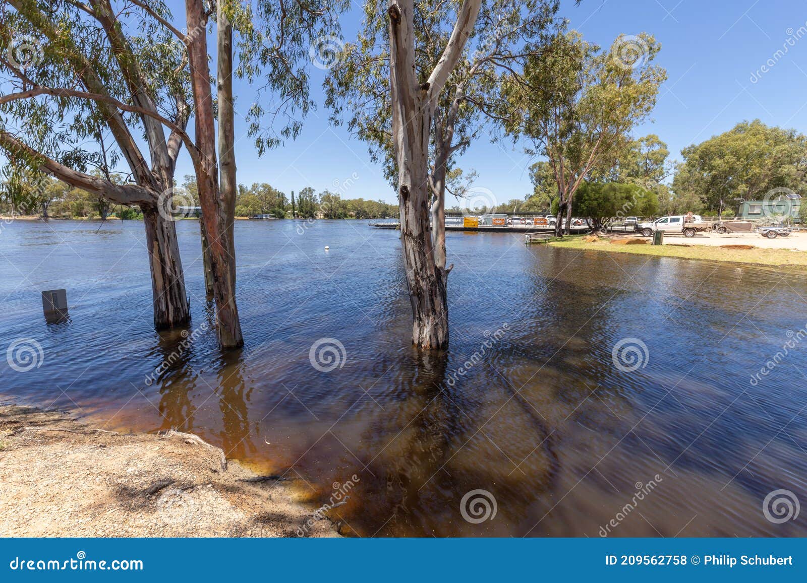 The Murray River in Flood at Morgan in South Australia in December 2016 ...
