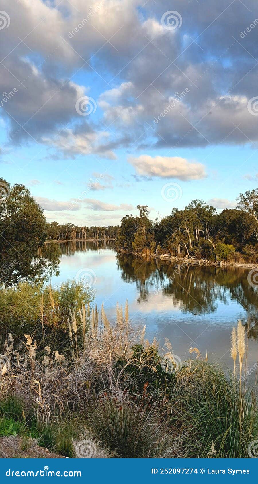 Murray River NSW Victoria Australia Stock Photo - Image of victoria ...