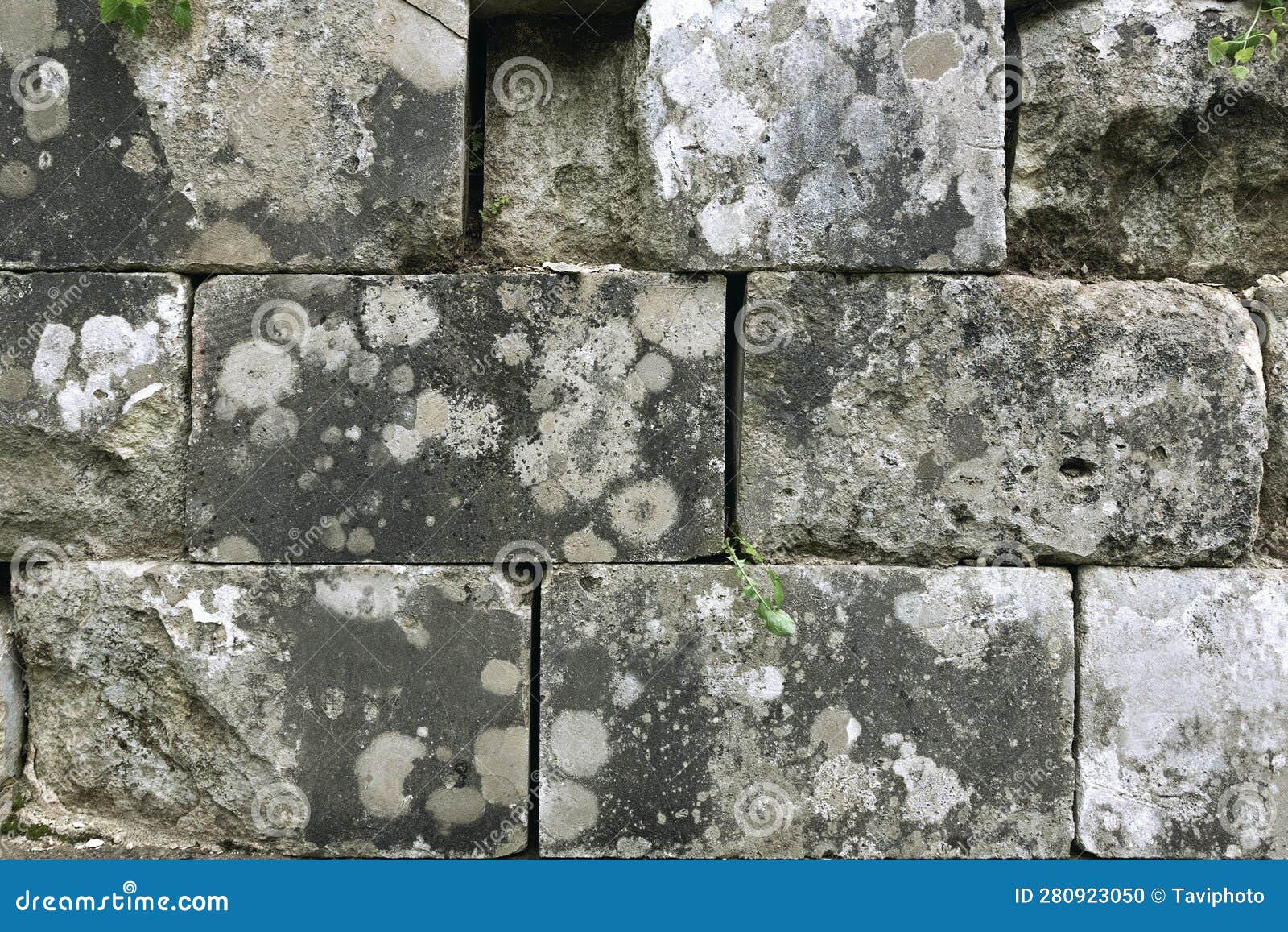 Murus dacicus detail stock photo. Image of dacian, culture - 280923050