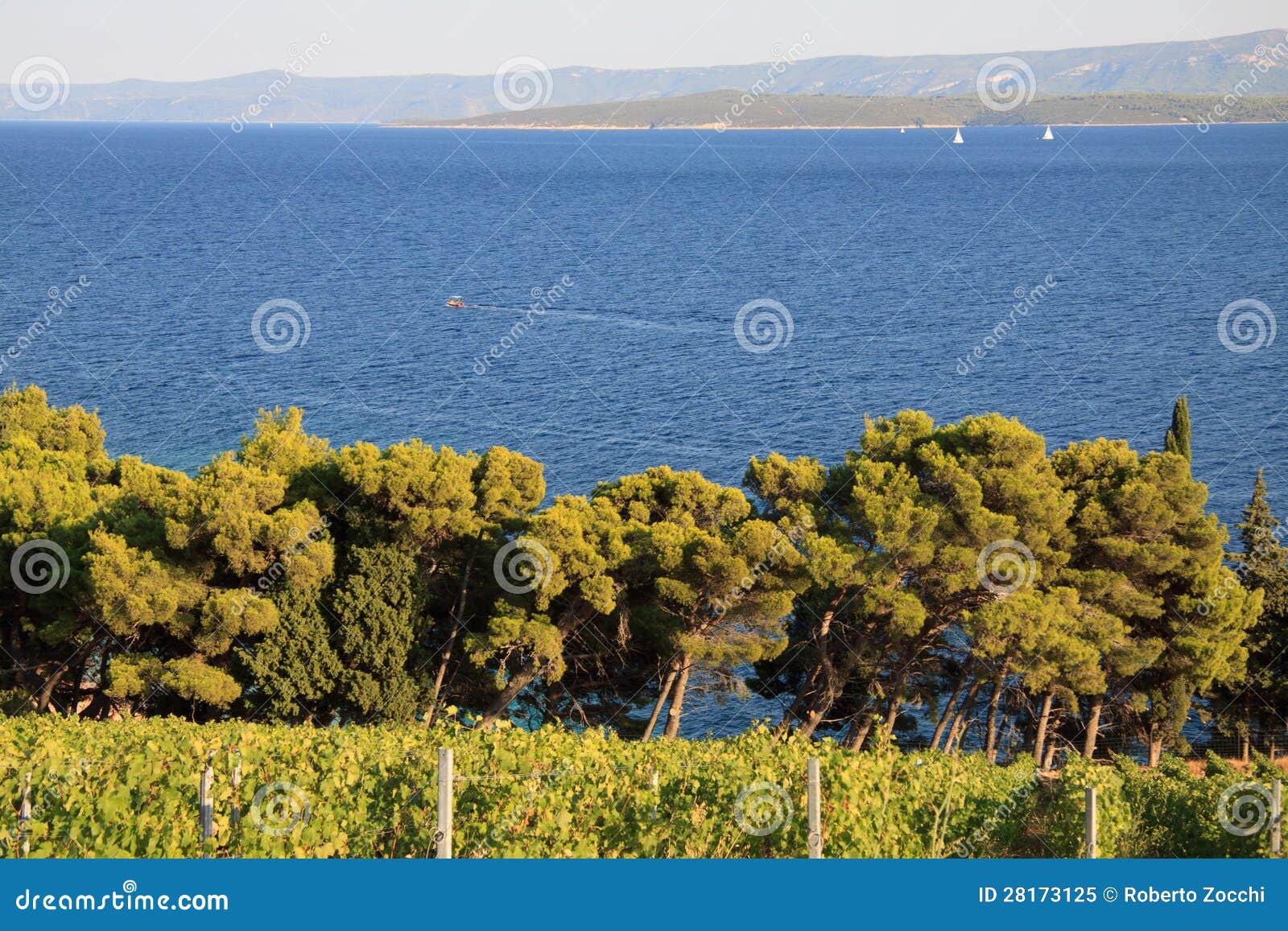 Murvica (Bol - Insel Brac) stockbild. Bild von wasser - 28173125