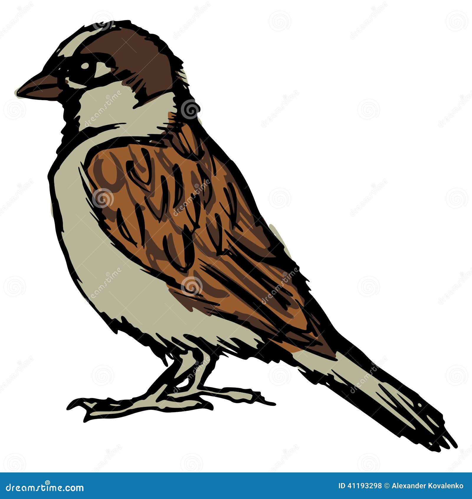 Mus vector illustratie. Illustration of gewervelde, beeldverhaal - 41193298