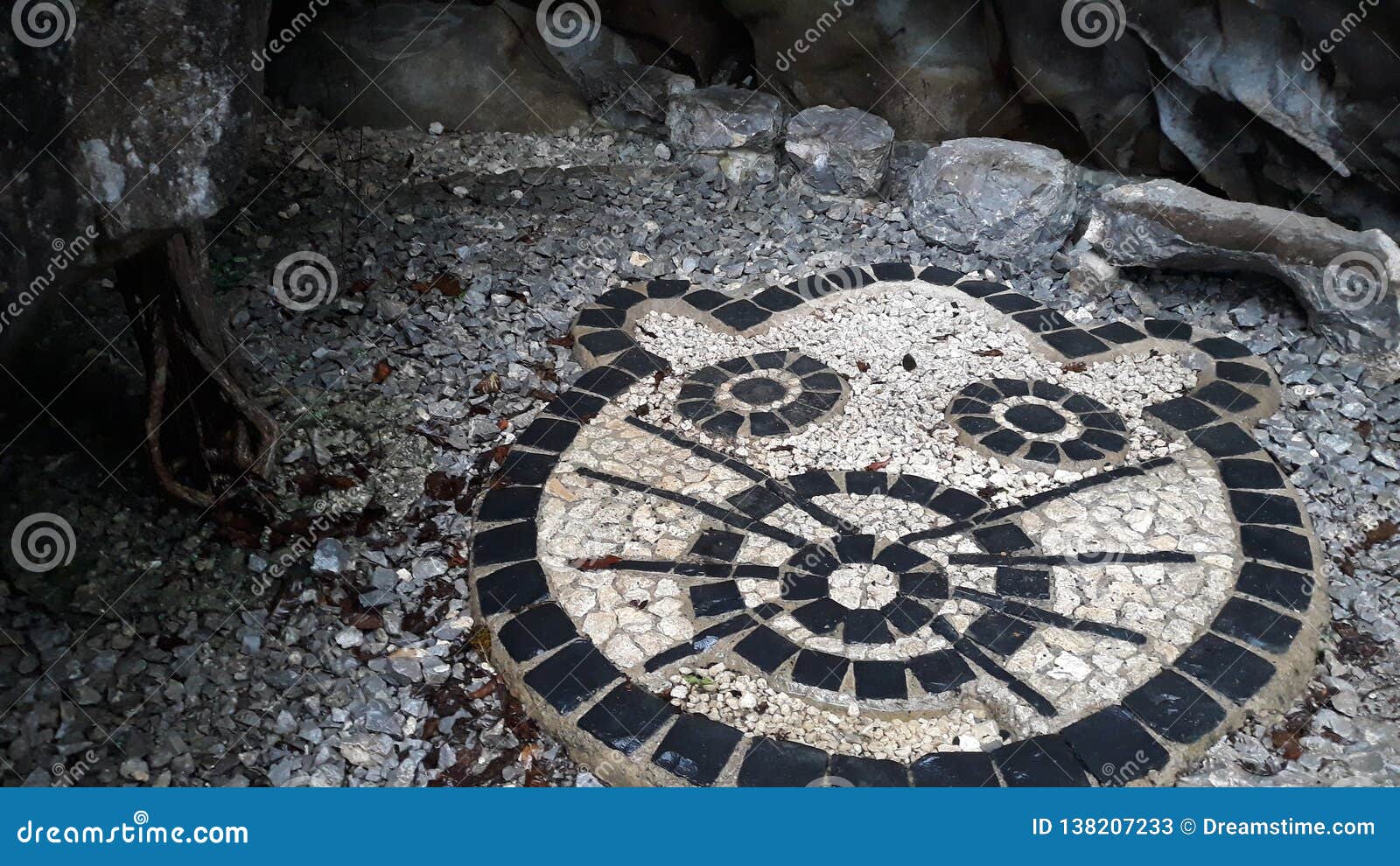 Musang stock image. Image of musang, philippines, extinct - 138207233