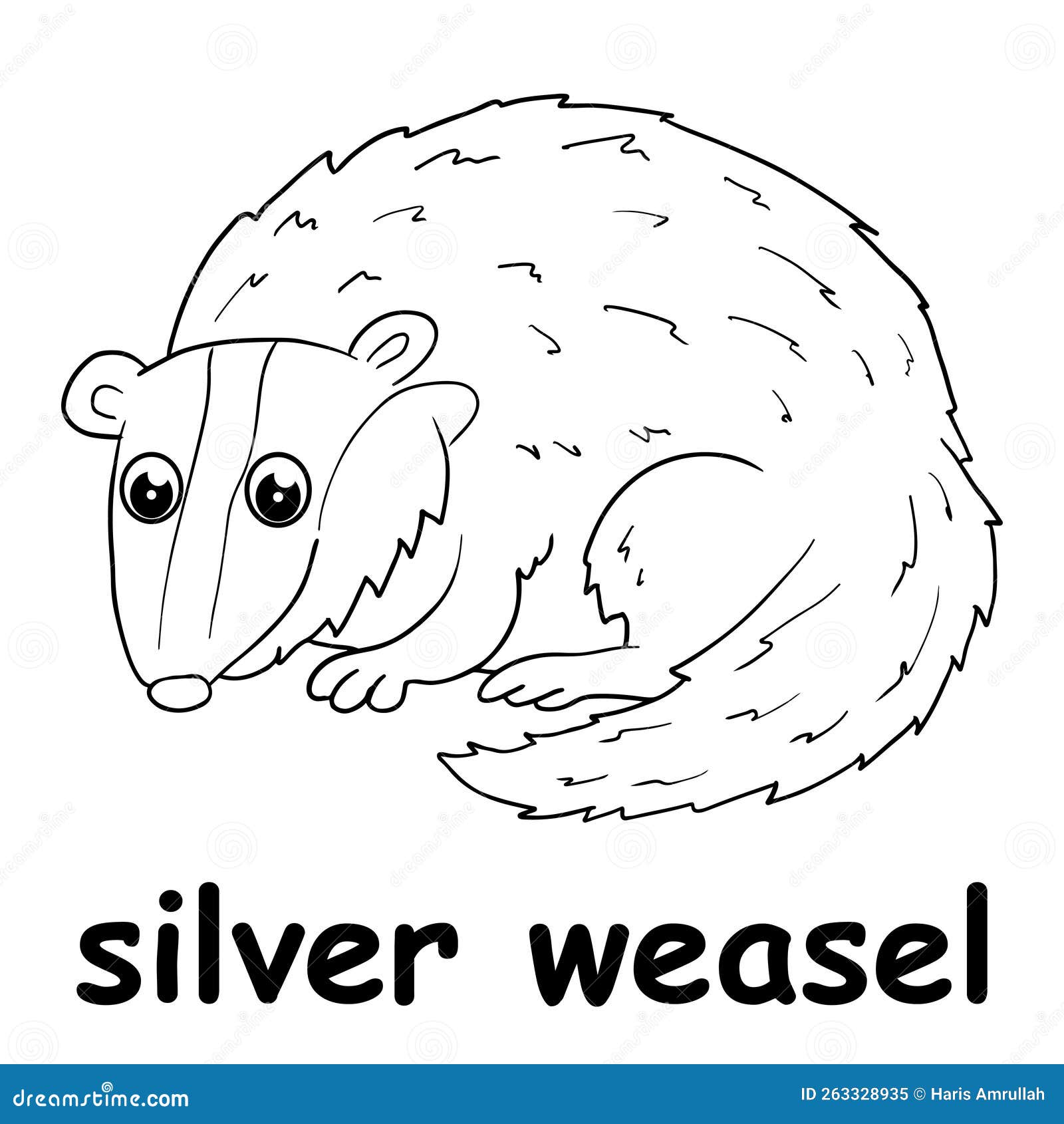 Kids Line Illustration Coloring Silver Weasel. Animal Outline Stock ...