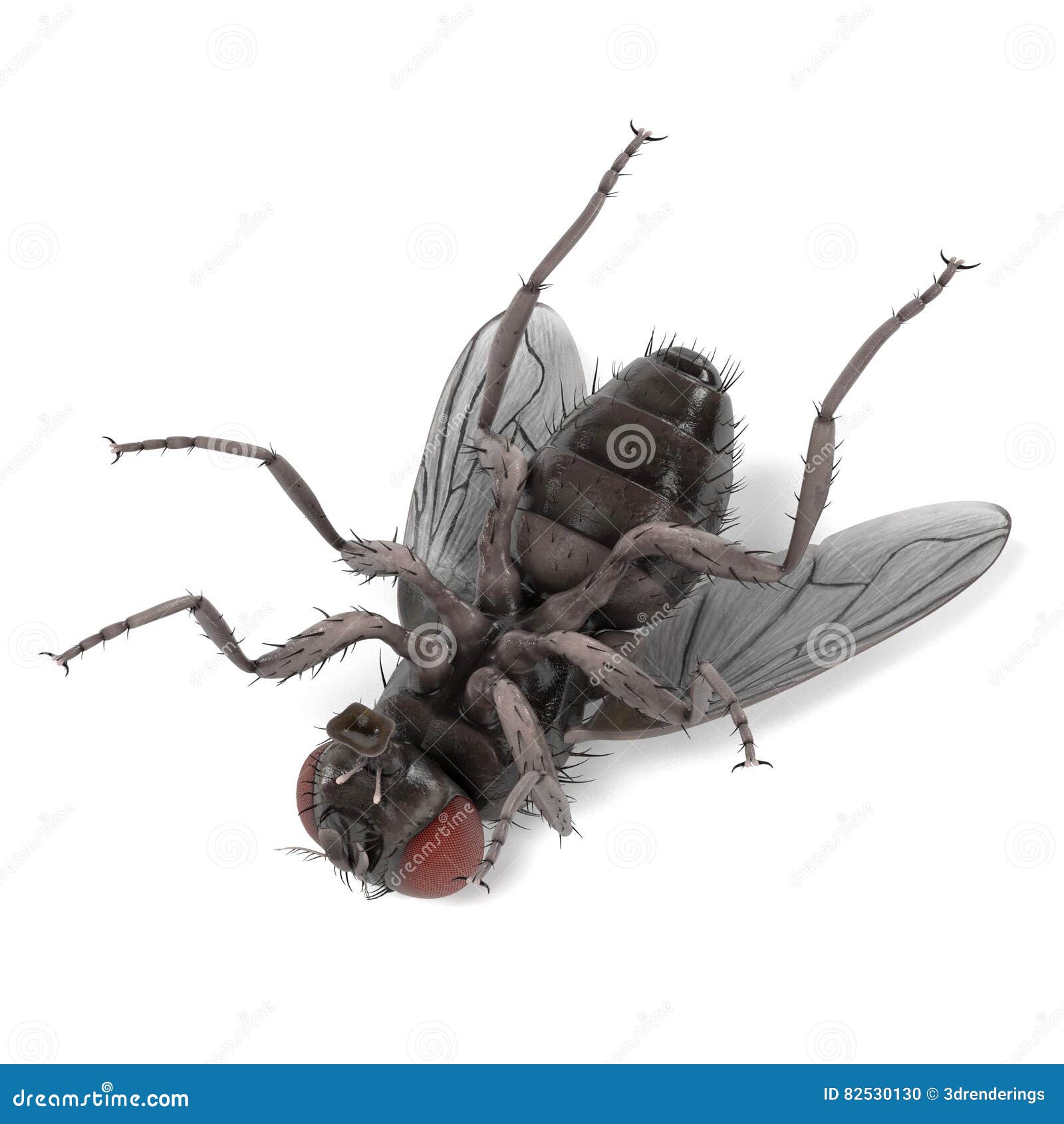 Musca Cartoons, Illustrations & Vector Stock Images - 470 Pictures to ...