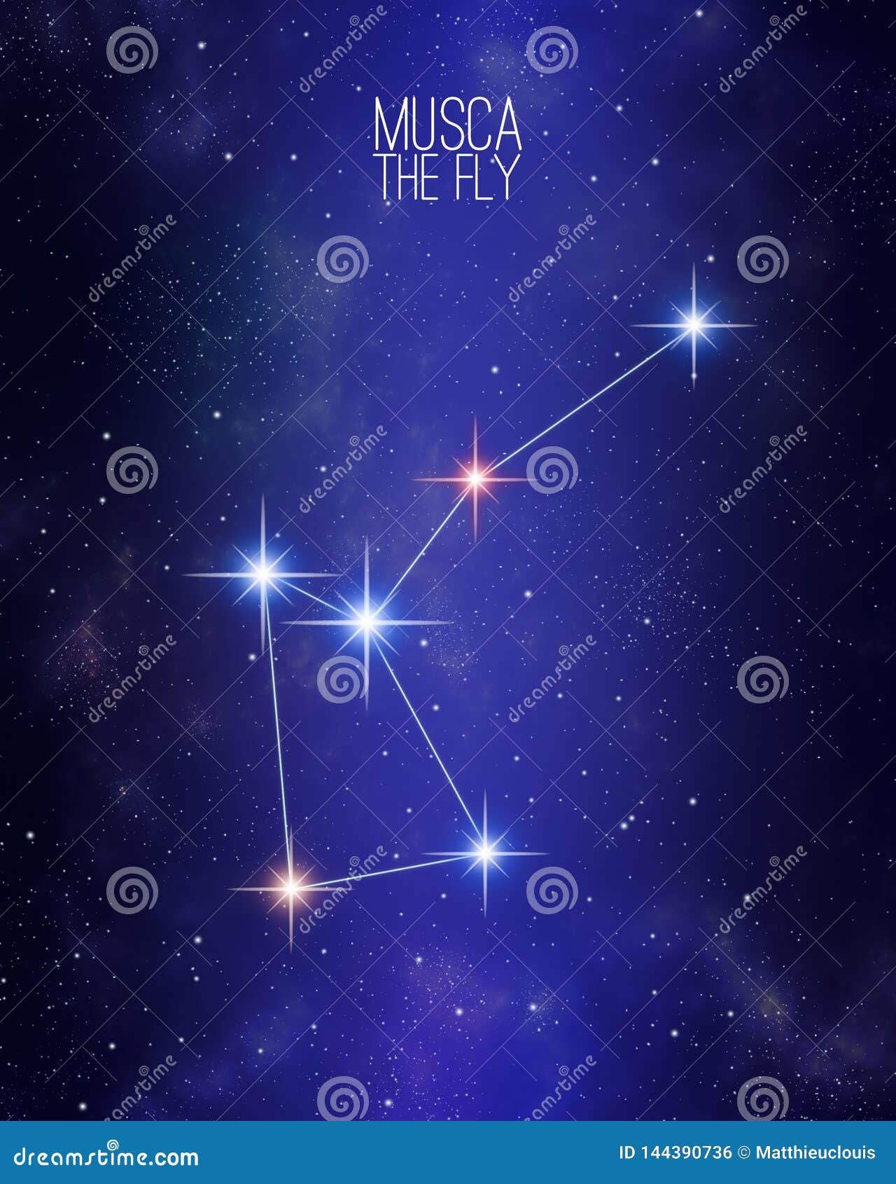 Musca Constellation