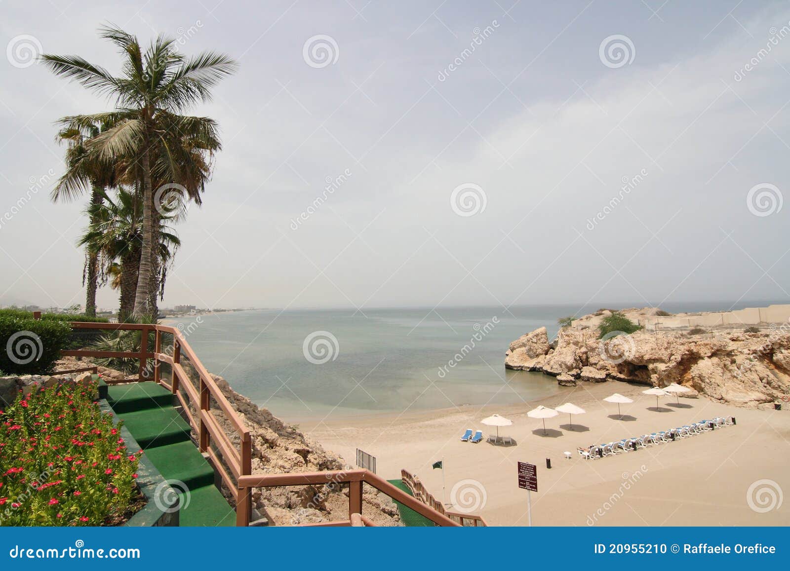 Muscat beach in Oman stock photo. Image of background - 20955210