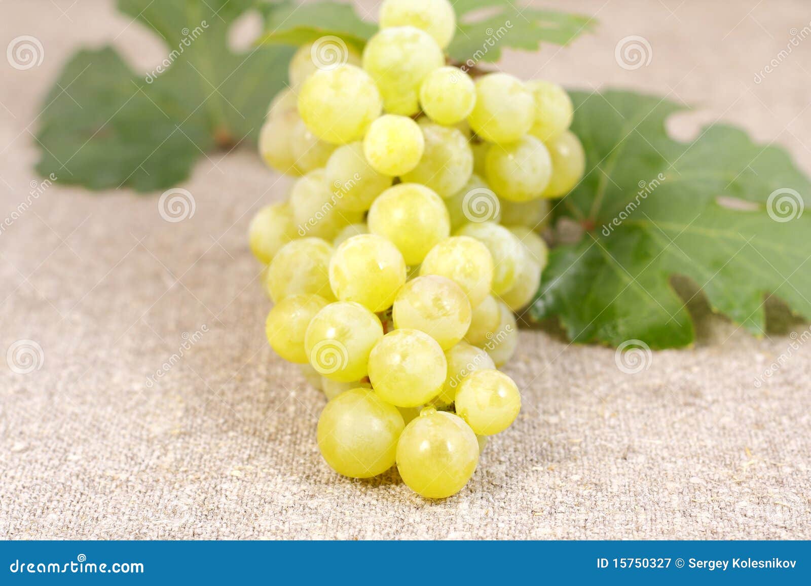 Muscat De Variétés De Raisin Blanc Photographie stock libre de droits ...