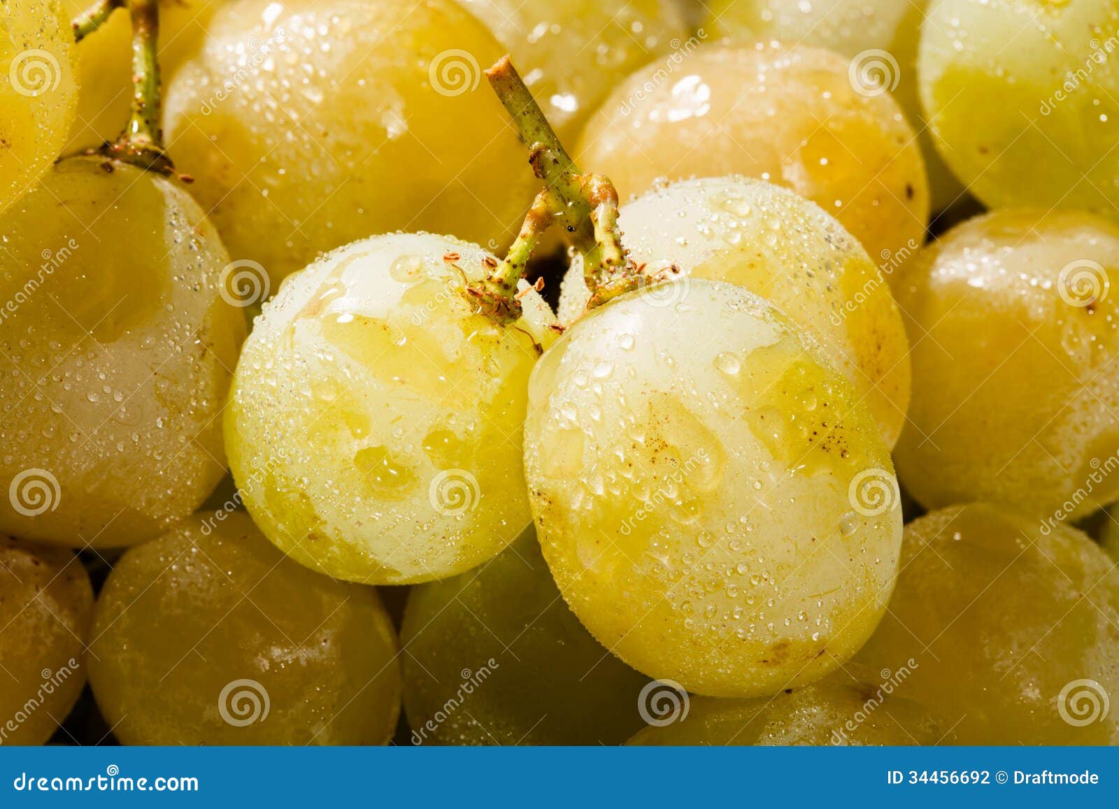 Muscat grape stock photo. Image of drops, shiny, produce - 34456692