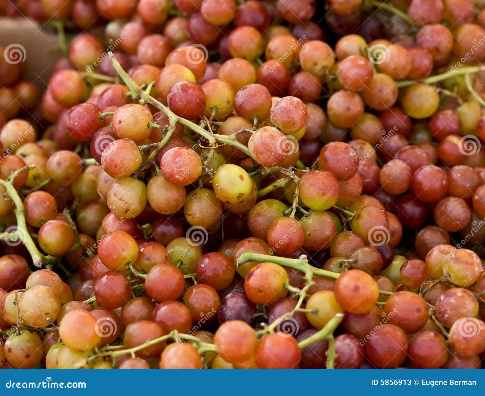 2,018 Raw Muscat Photos - Free & Royalty-Free Stock Photos from Dreamstime