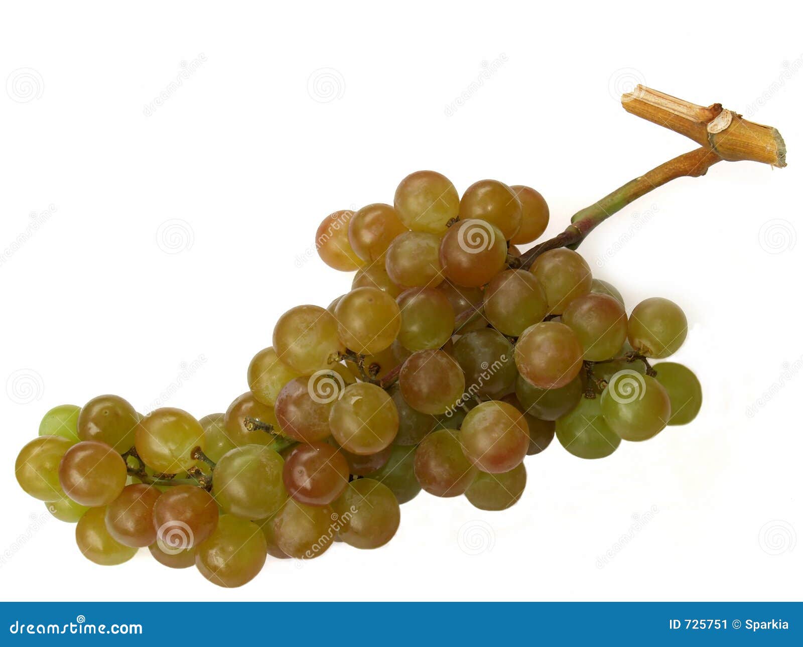 Muscat grapes stock image. Image of produce, vineyard, fresh - 725751