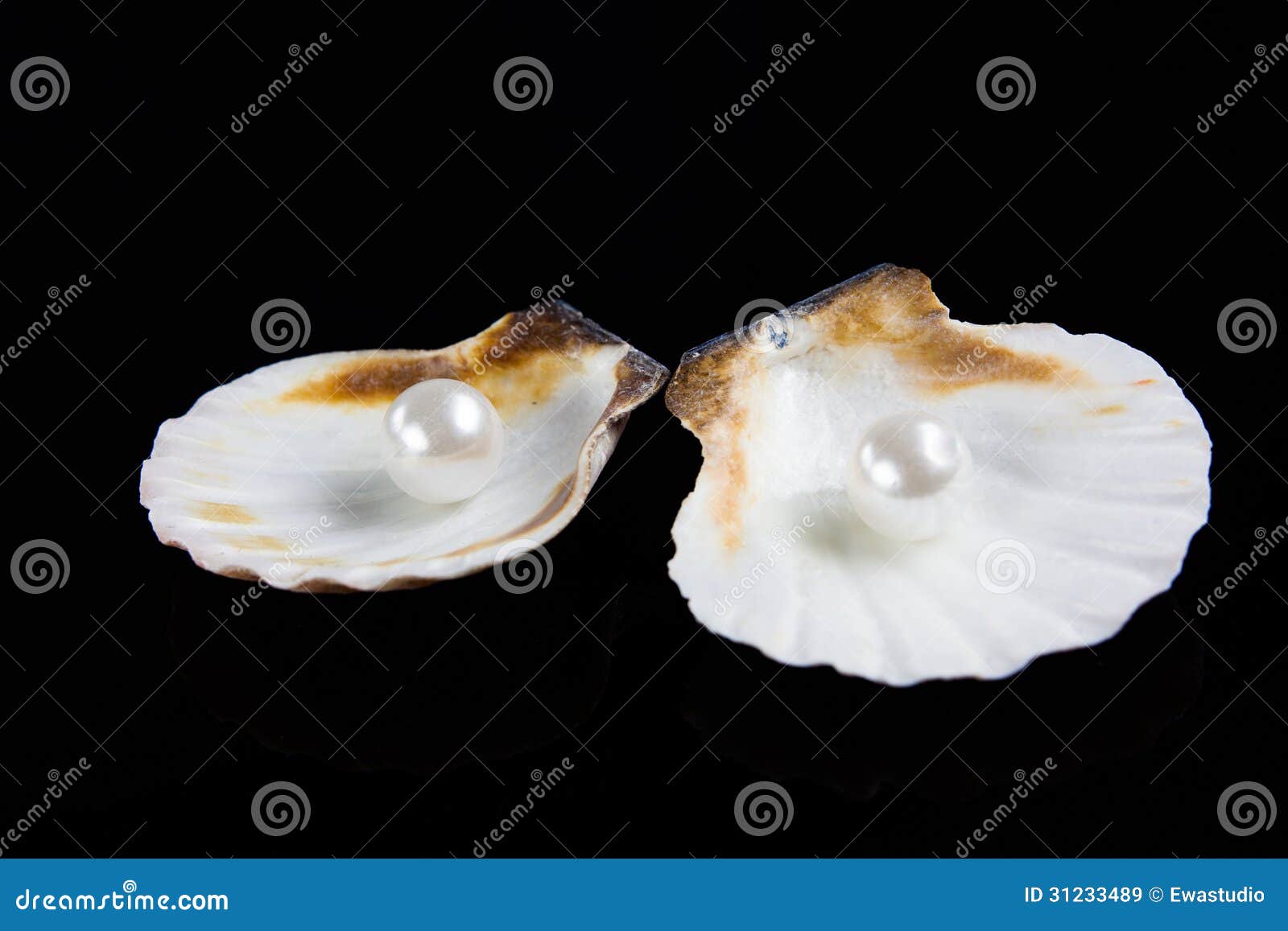 Muschel Mit Perle Auf Schwarzem Hintergrund Stockbild - Bild von ...