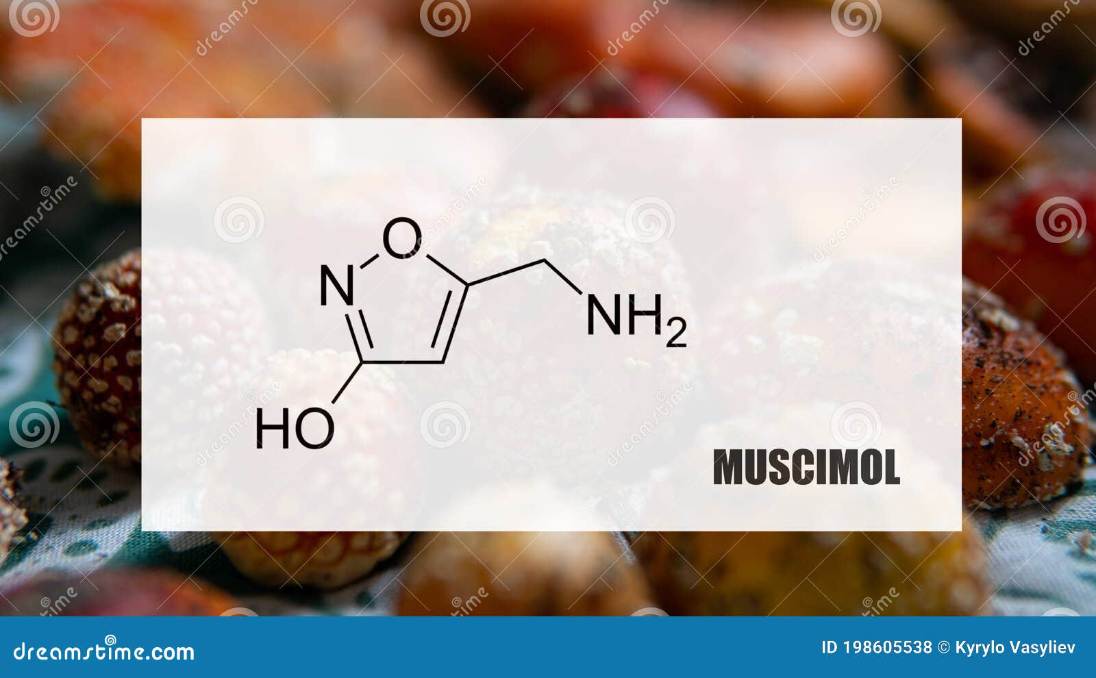 Muscimol in the Psychedelic Substances of the Fly Agaric. Recreational ...