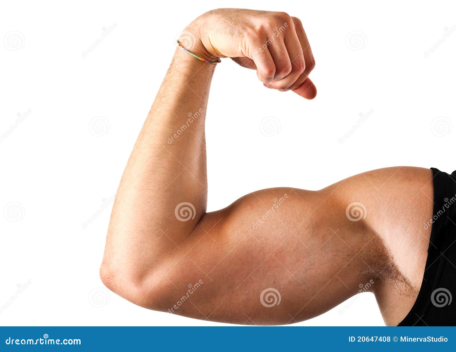 Muscle stock photo. Image of strong, biceps, athlete - 20647408