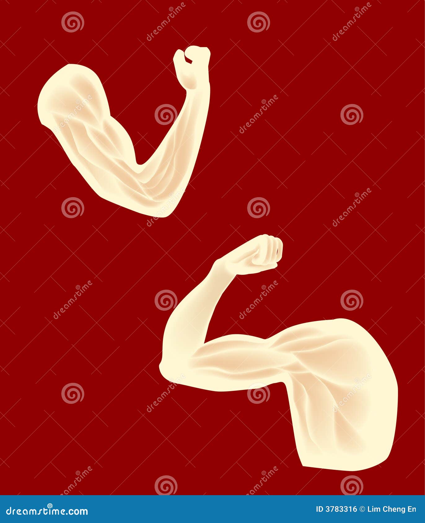 Muscle Man Drawing Stock Image | CartoonDealer.com #7143607