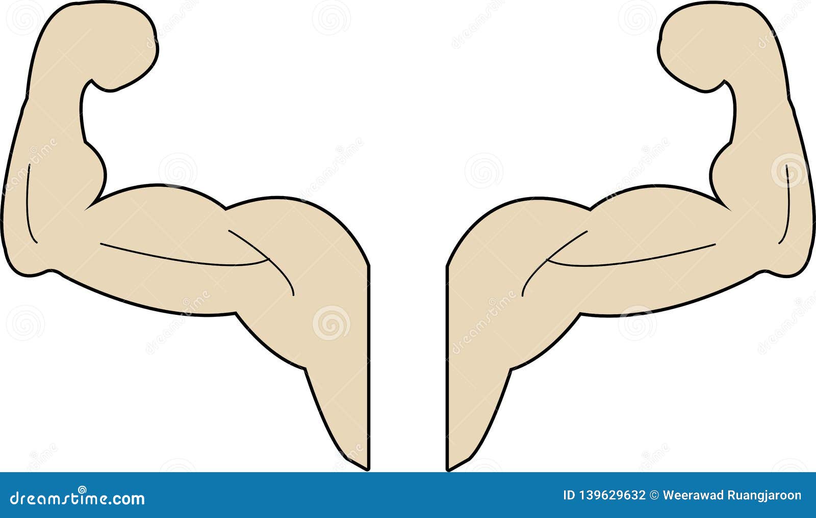 Muscle Arm Contour on the White Background. Stock Vector - Illustration ...