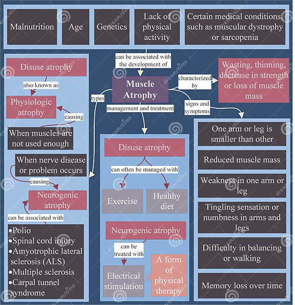 Muscle Atrophy is a Condition Characterized by Loss of Muscle Mass ...