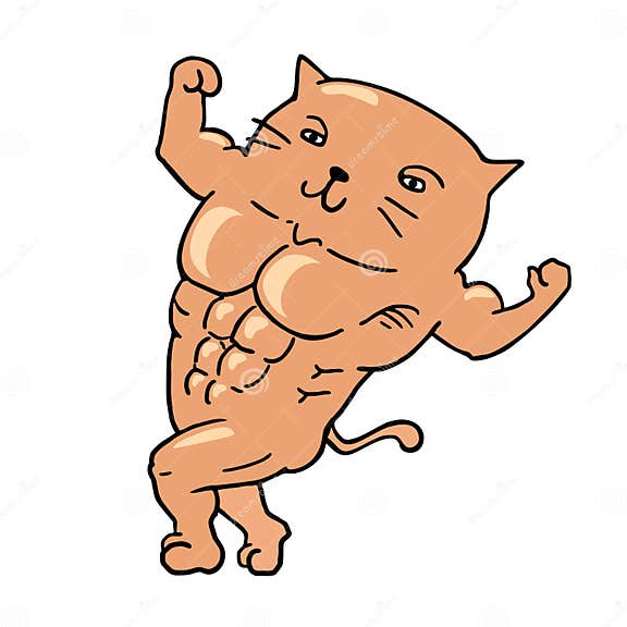 Muscle cat draw stock vector. Illustration of pose, baby - 136841933