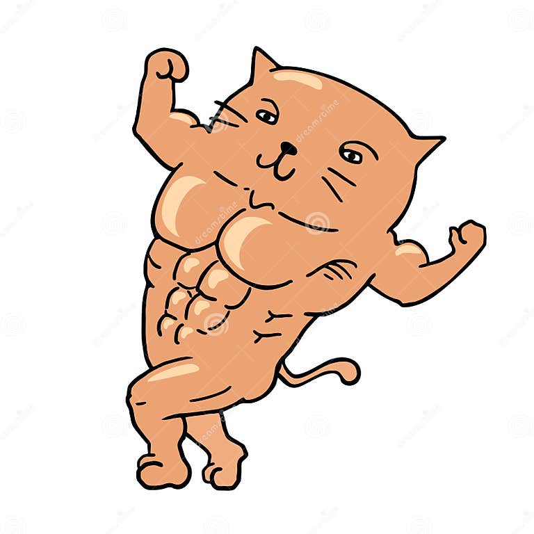 Muscle cat draw stock vector. Illustration of pose, baby - 136841933