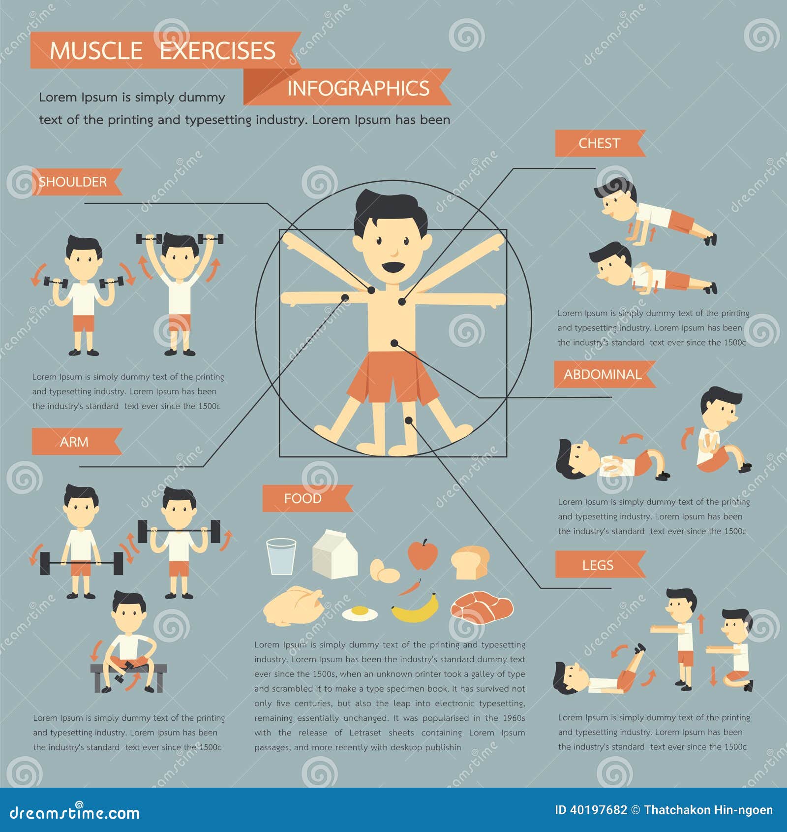 Muscle Exercises Infographics Royalty-Free Stock Image | CartoonDealer ...