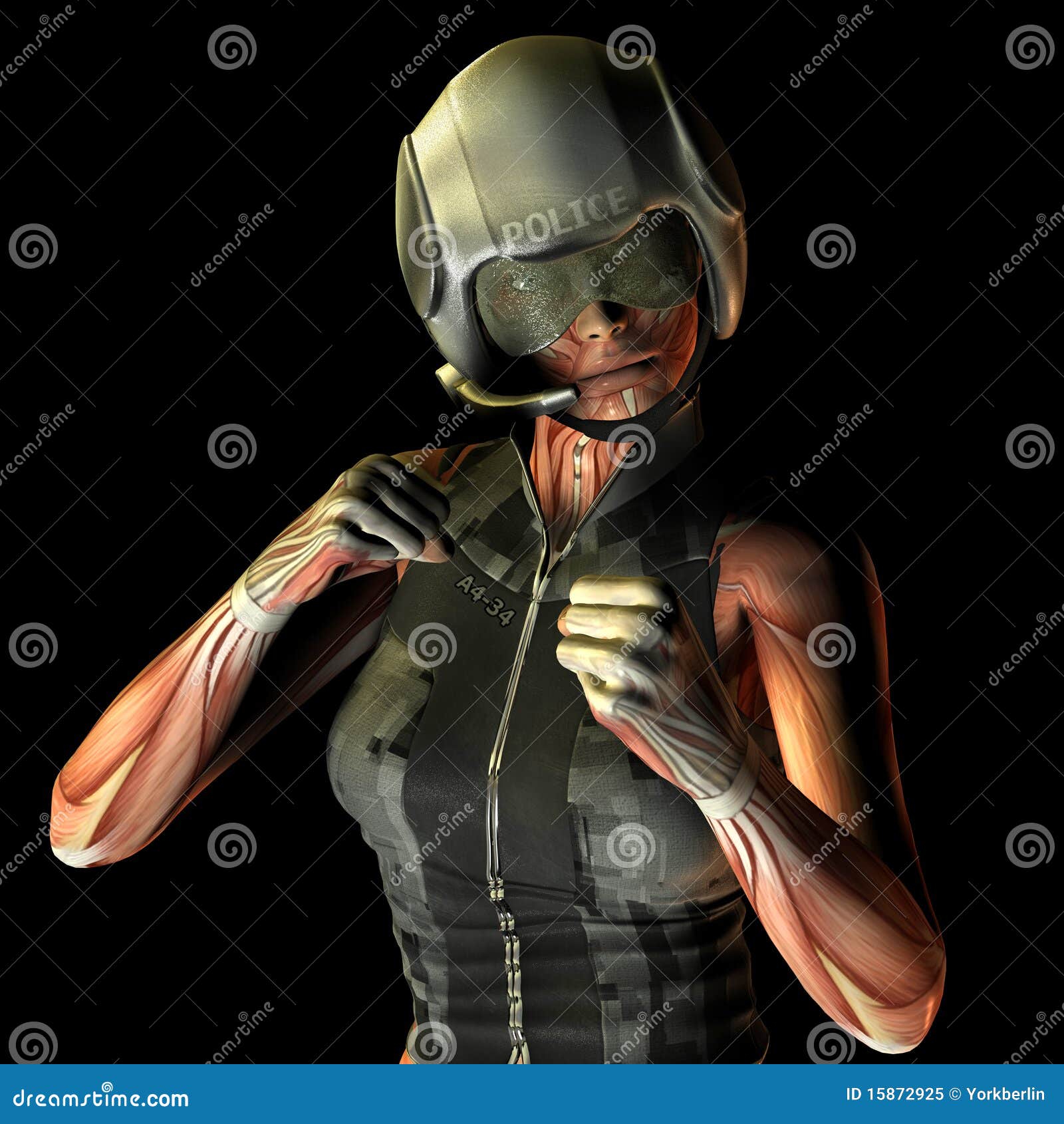 3D Rendering Muscle Maps Royalty-Free Stock Photography | CartoonDealer ...