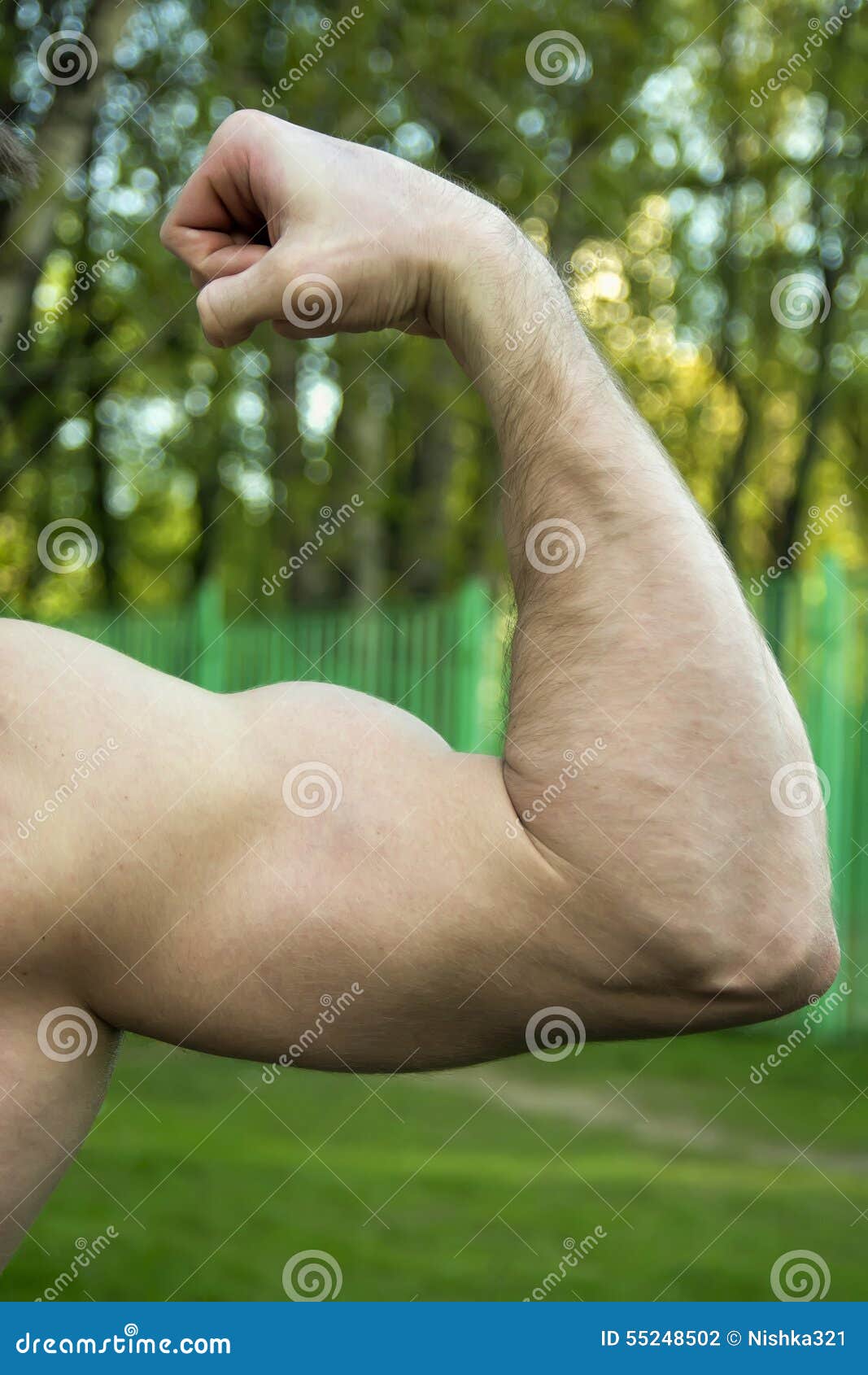 Muscle hand stock photo. Image of muscle, biceps, athletic - 55248502
