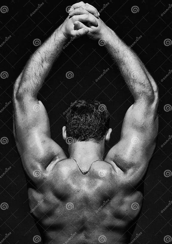 Muscle male model stock photo. Image of muscular, handsome - 12102844