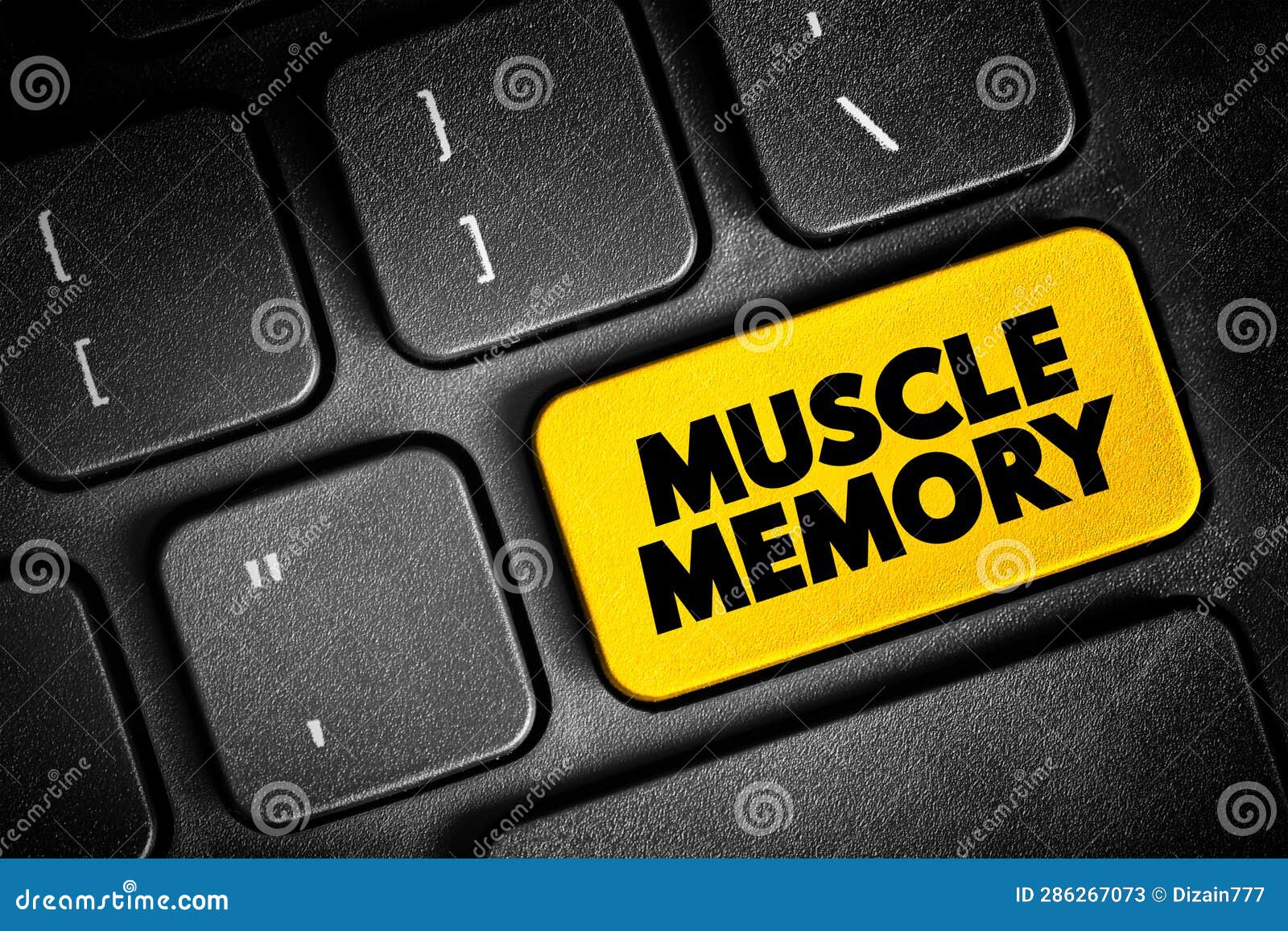 Muscle Memory is a Form of Procedural Memory that Involves ...