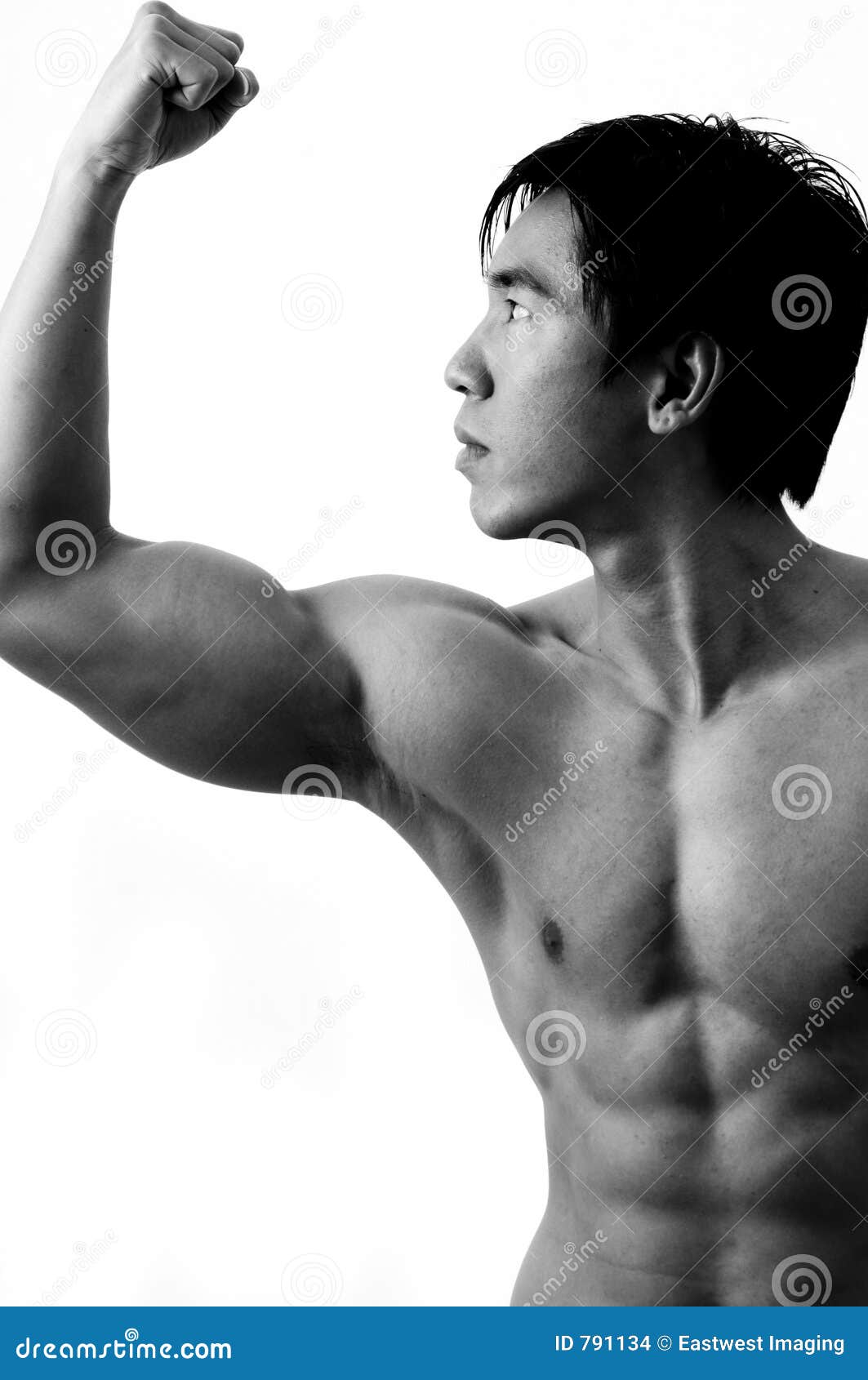 Muscle Pose stock photo. Image of individual, person, portrait - 791134