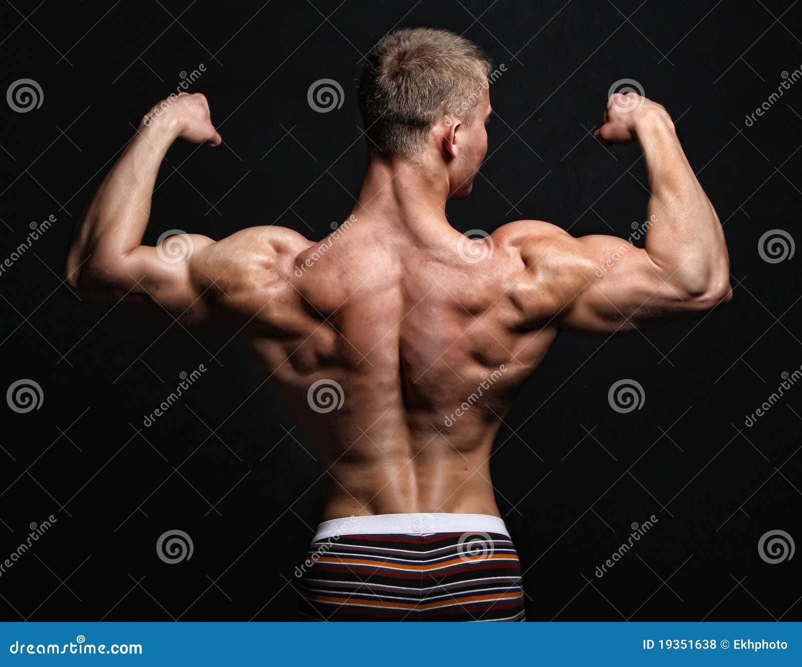 Muscle back of bodybuilder stock photo. Image of model - 19351638