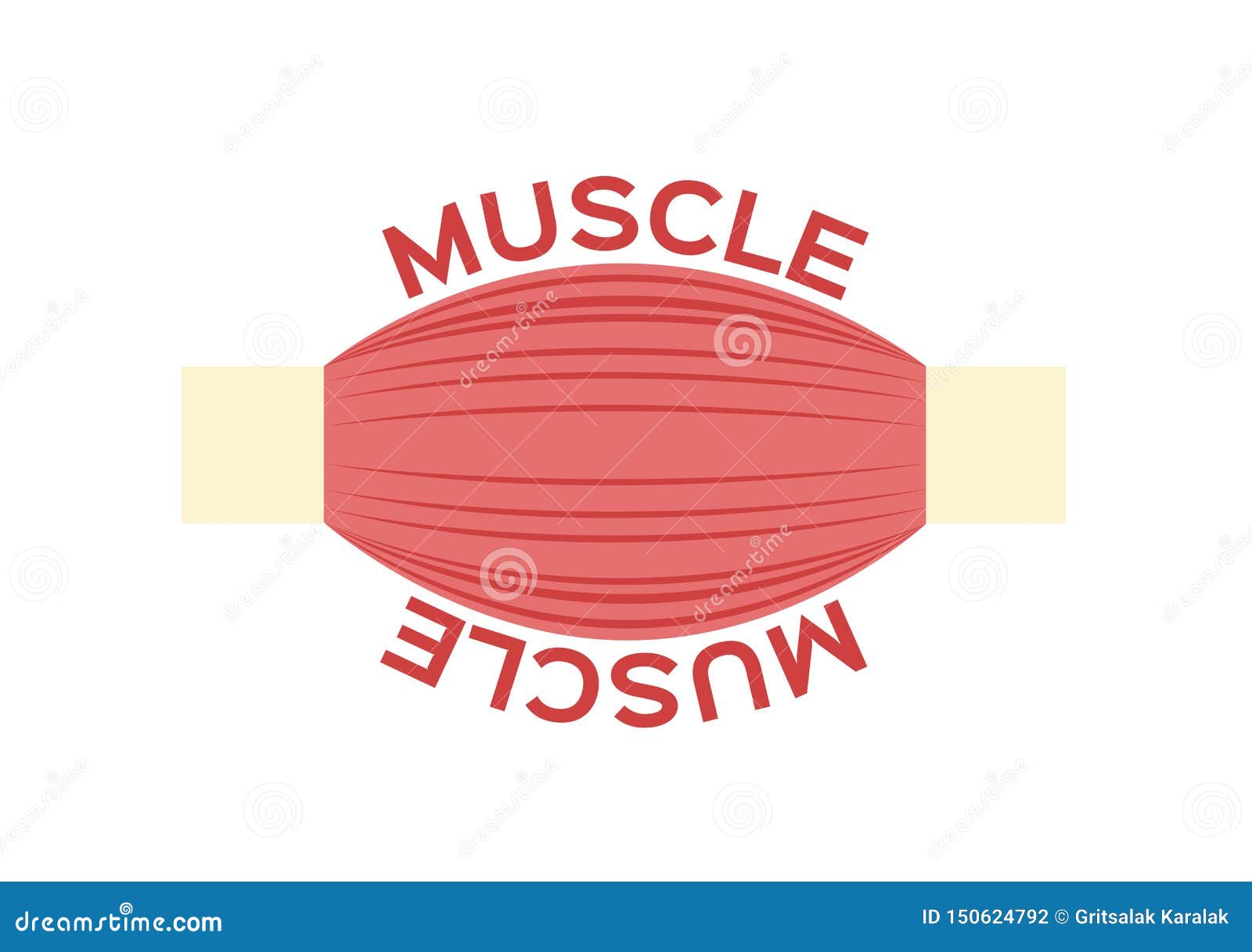 Muscle vector icon stock vector. Illustration of illness - 150624792