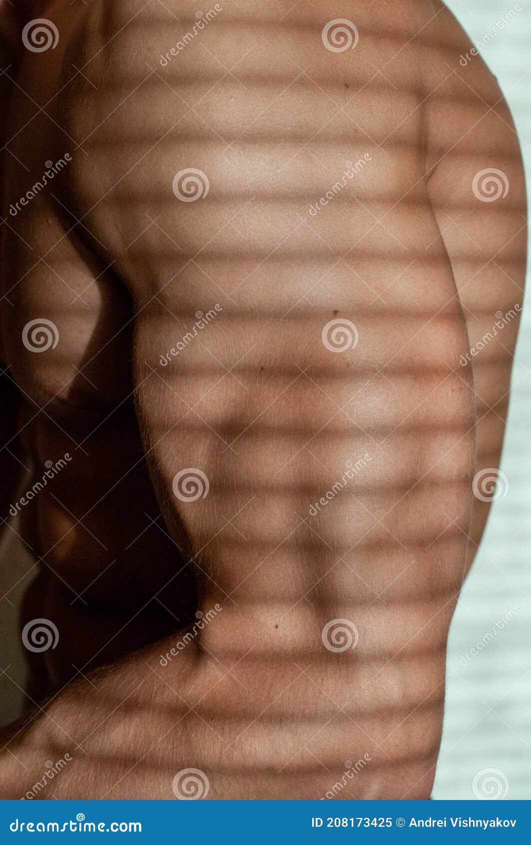 Male hands stock image. Image of shirtless, person, model - 208173425