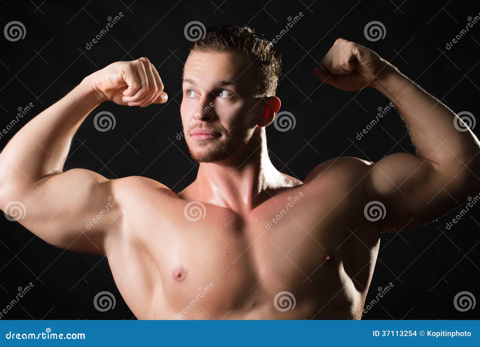Muscled male model stock photo. Image of bodybuilder - 37113254