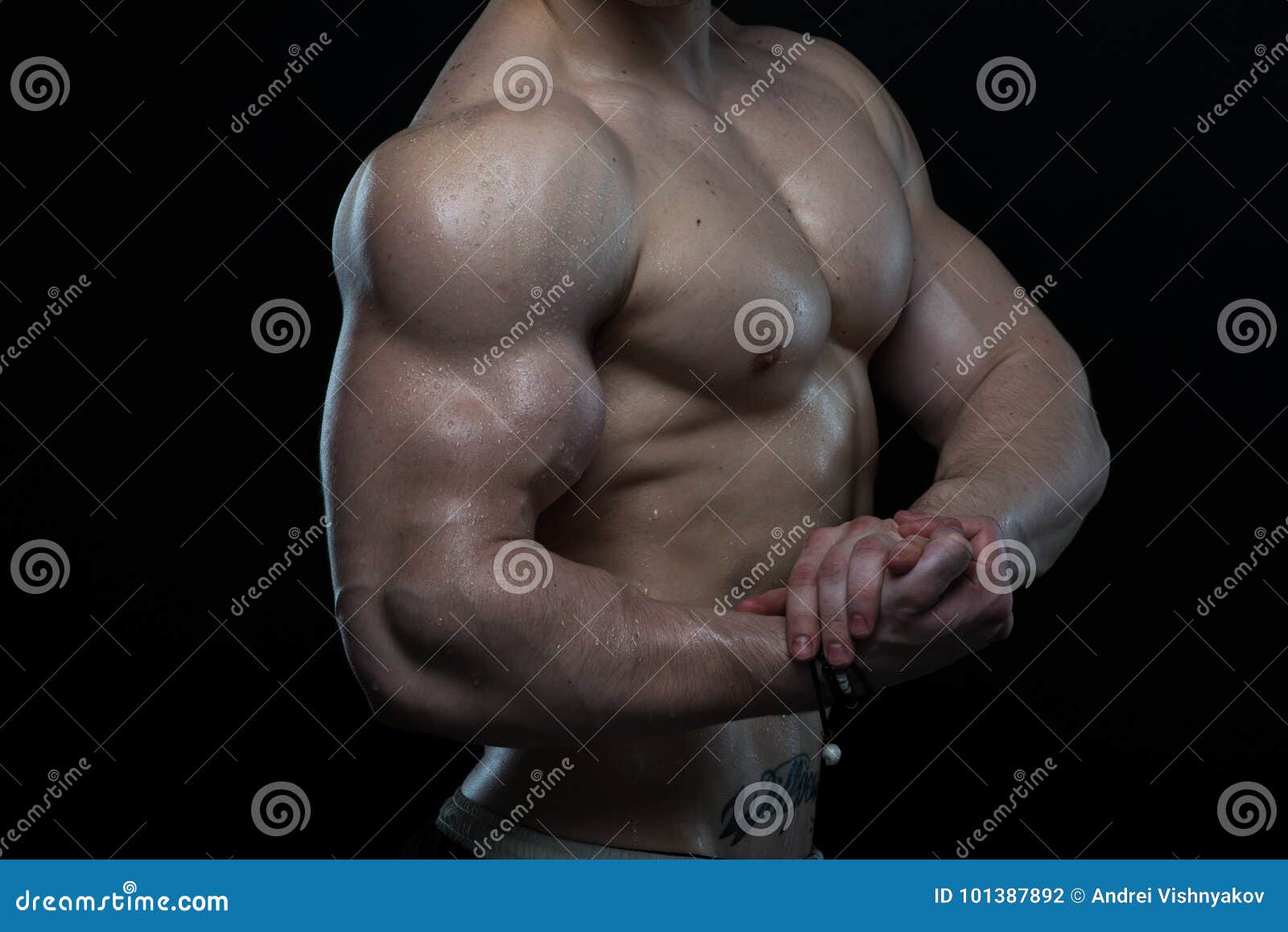 Male torso stock photo. Image of bodybuilder, muscle - 101387892