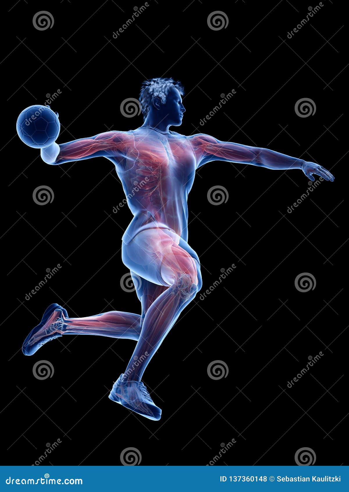 The Muscles of a Handball Player Stock Illustration - Illustration of ...