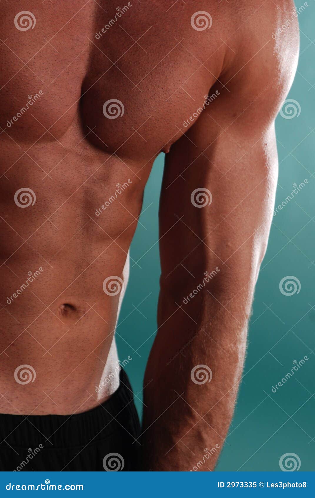 Muscolo del braccio immagine stock. Immagine di braccio - 2973335