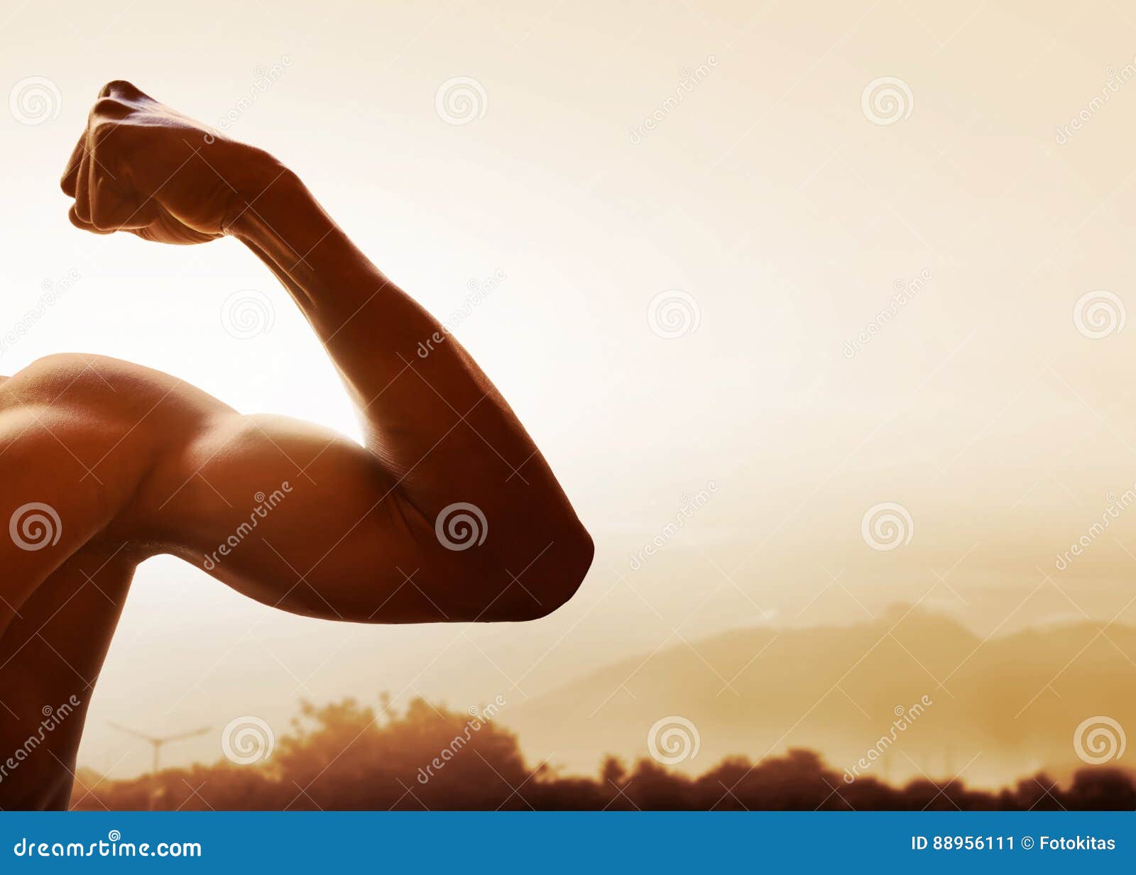 Muscolo Del Braccio Dell'uomo Immagine Stock - Immagine di modello ...