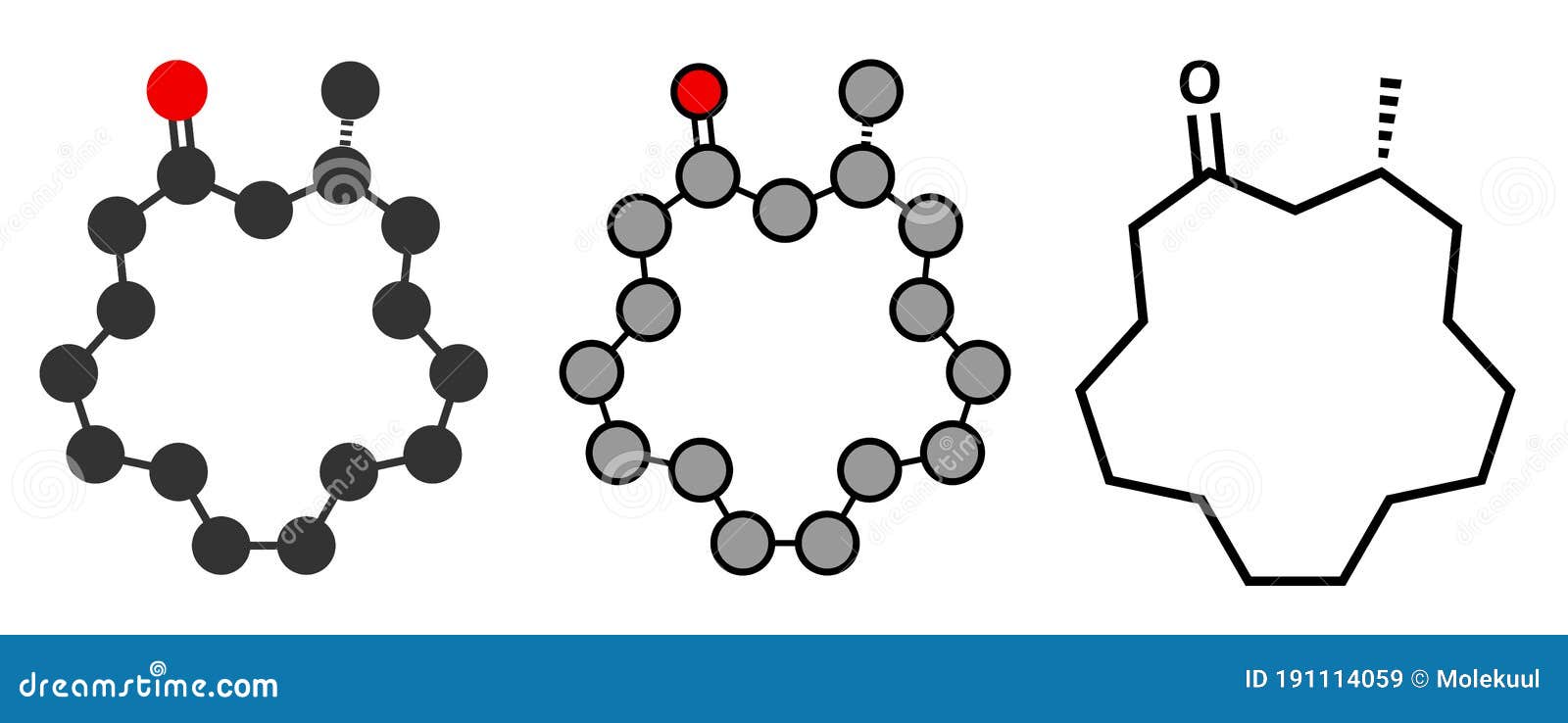 Muscone Musk Odor Molecule. Stylized 2D Renderings and Conventional ...