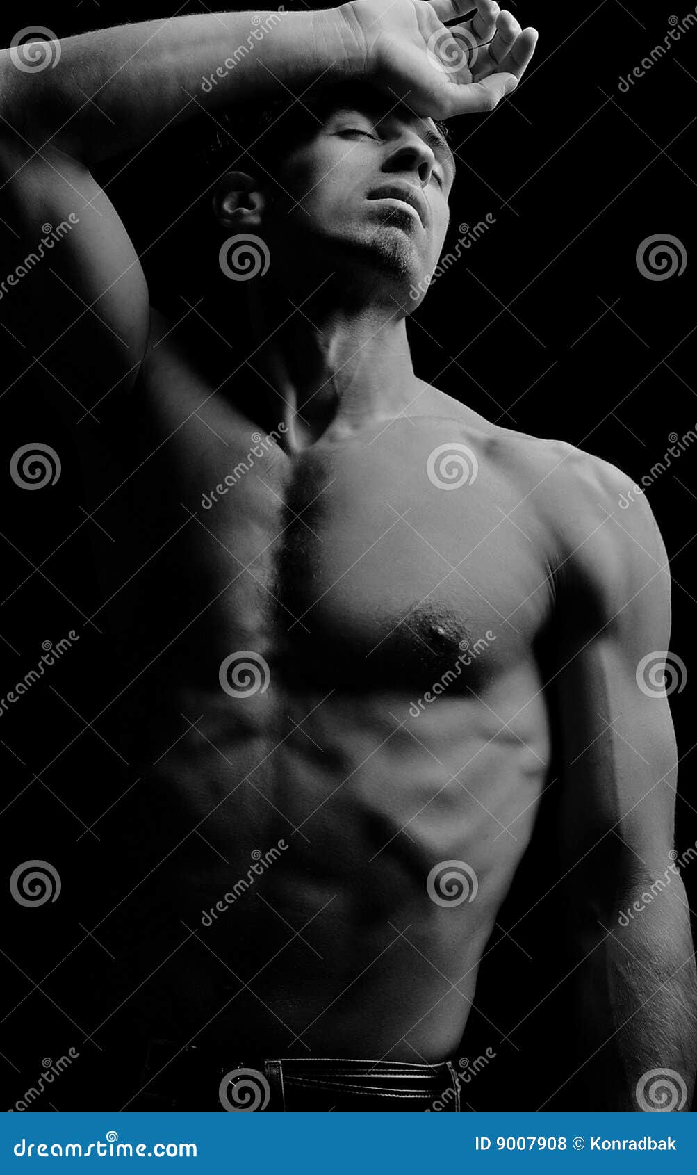 Muscular stock photo. Image of muscle, fashion, biceps - 9007908