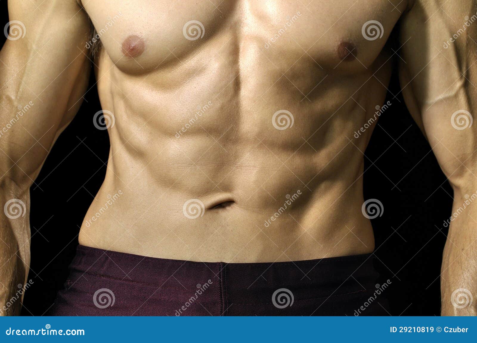 Muscular abs and torso stock image. Image of chest, athlete - 29210819