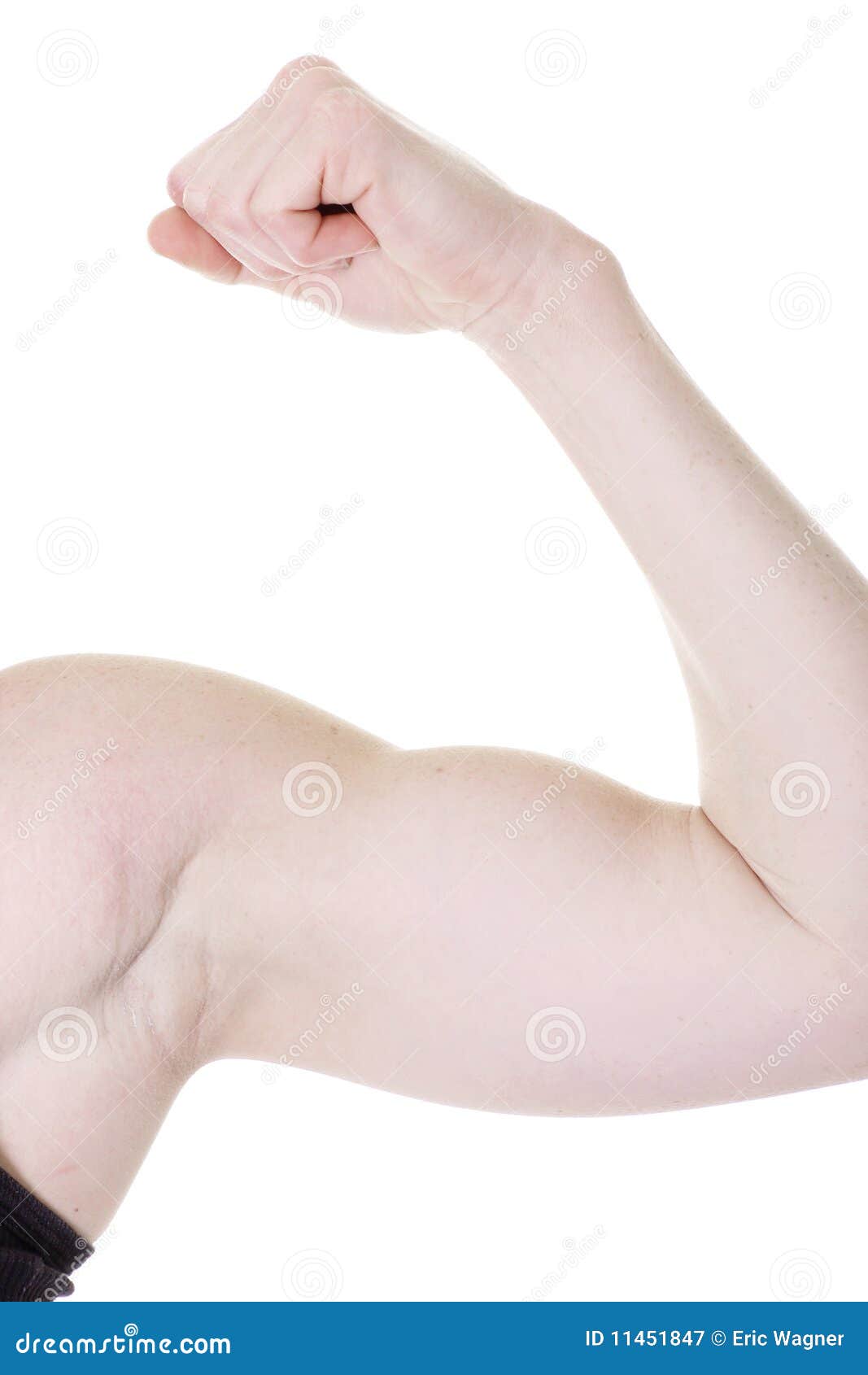 Muscular arm stock image. Image of exercise, skin, closeup - 11451847