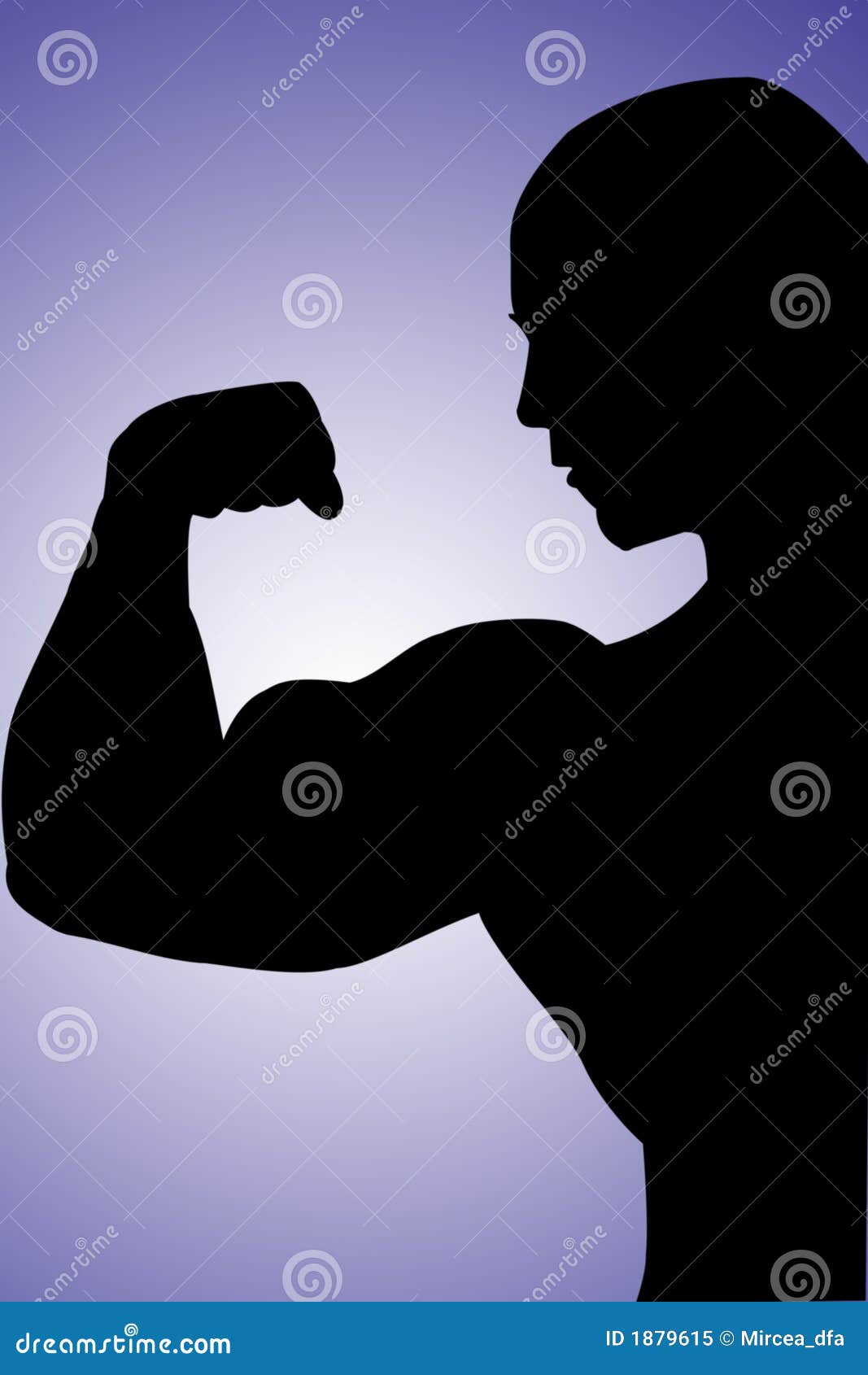 Muscular arm stock image. Image of black, athlete, muscle - 1879615