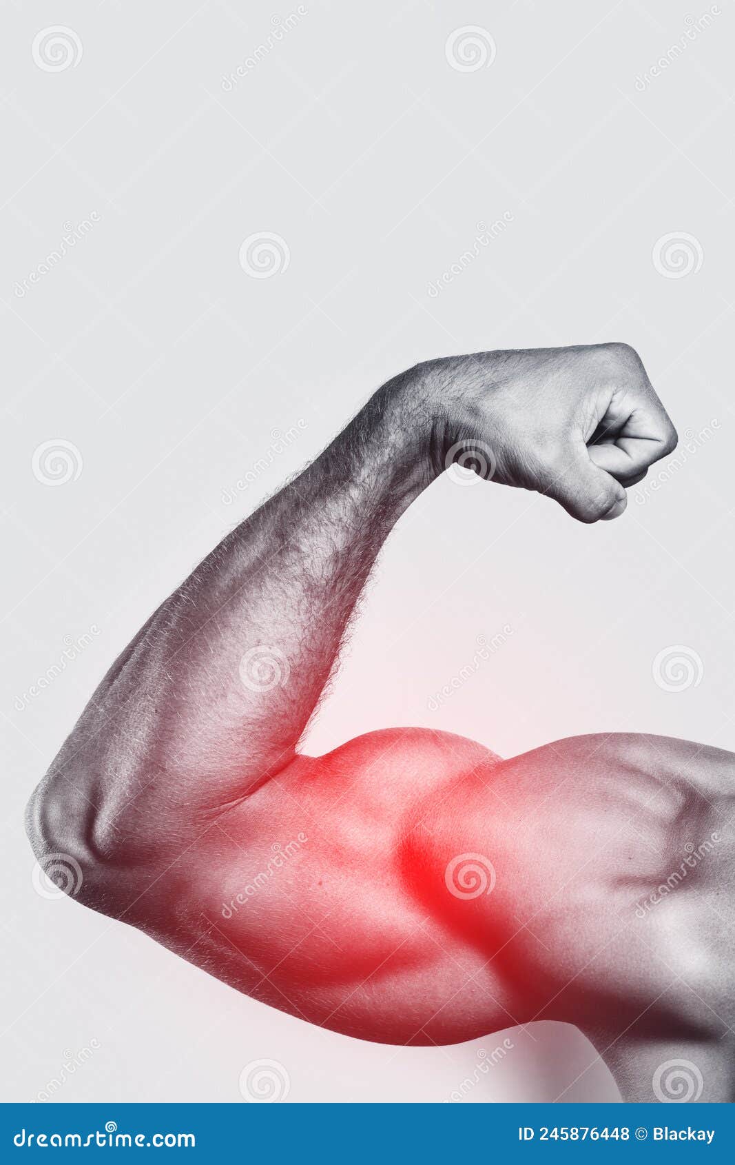 Muscular Arm and Specialization for Biceps Training. Stock Photo ...