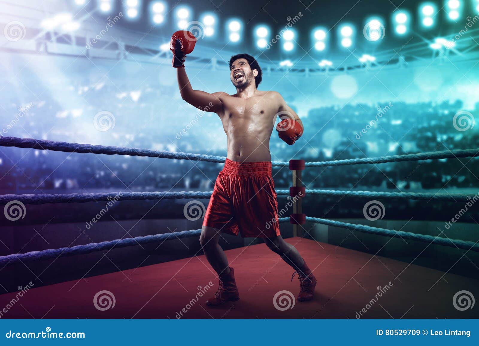 Muscular Asian Male Boxer Throwing an Uppercut Stock Image - Image of ...