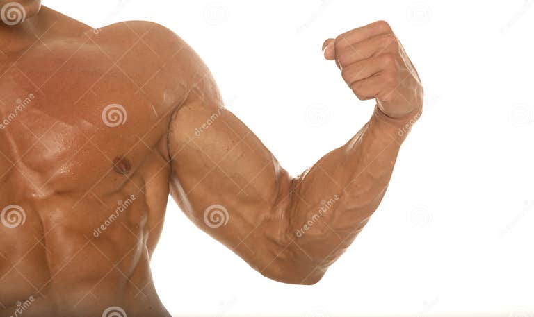 Muscular Athletic Body Builder Arm Stock Photo - Image of athletic ...