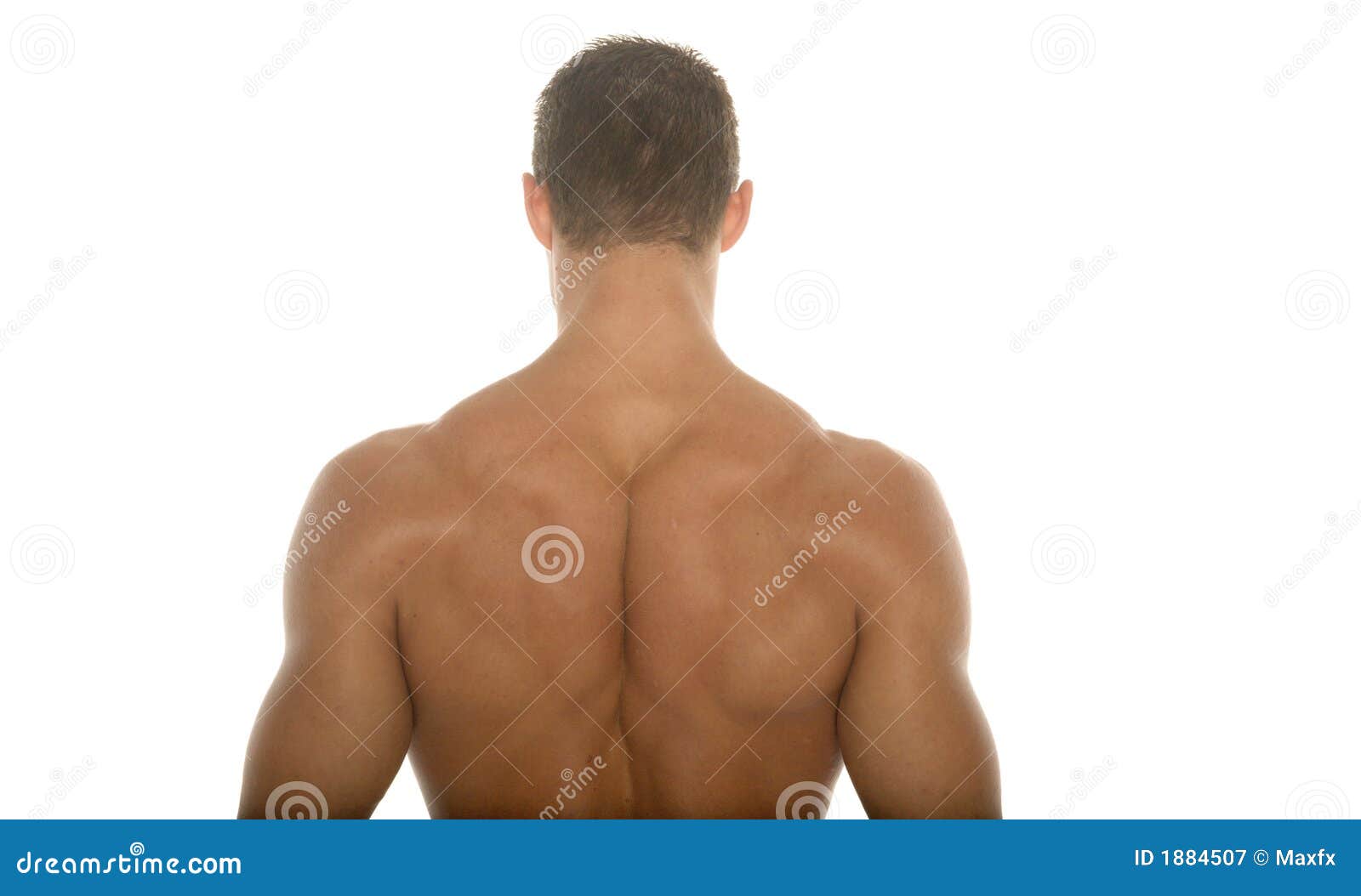 Muscular Athletic Body Builder Back Stock Image - Image of male ...