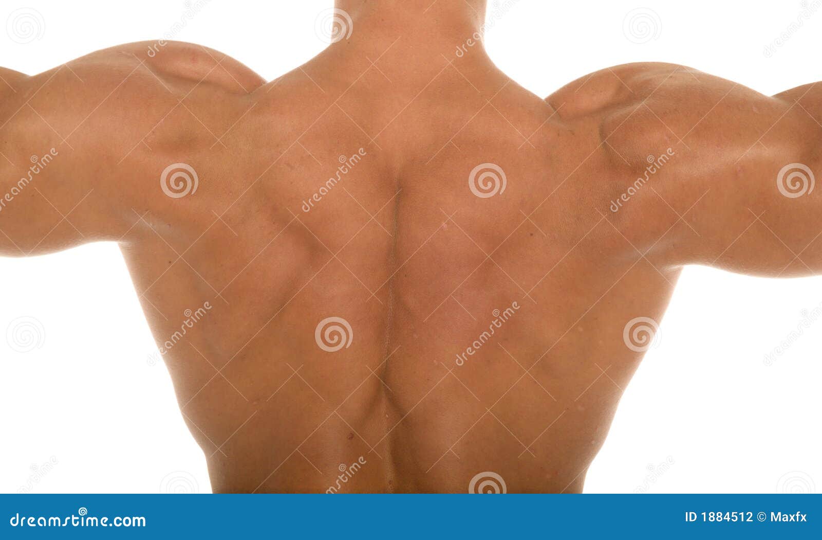 Muscular Athletic Body Builder Back Stock Photo - Image of back ...