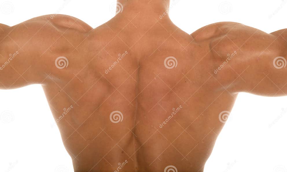 Muscular Athletic Body Builder Back Stock Photo - Image of back ...