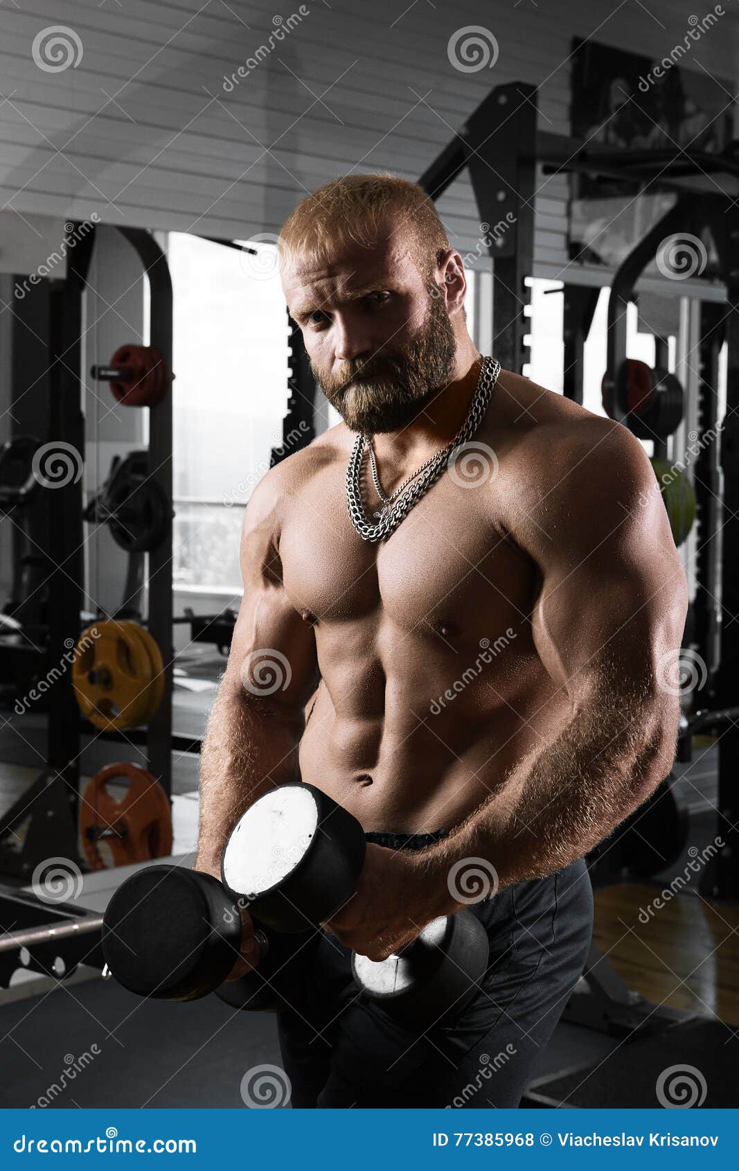 Muscular Athletic Bodybuilder Stock Photo - Image of health, body: 77385968